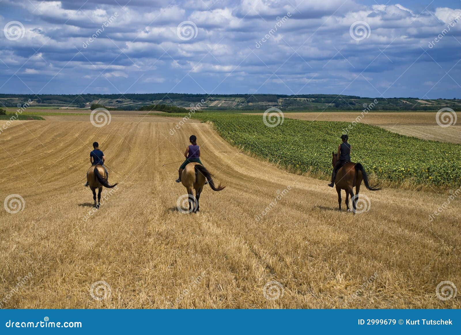 Three riders stock image. Image of stallion, activity - 2999679
