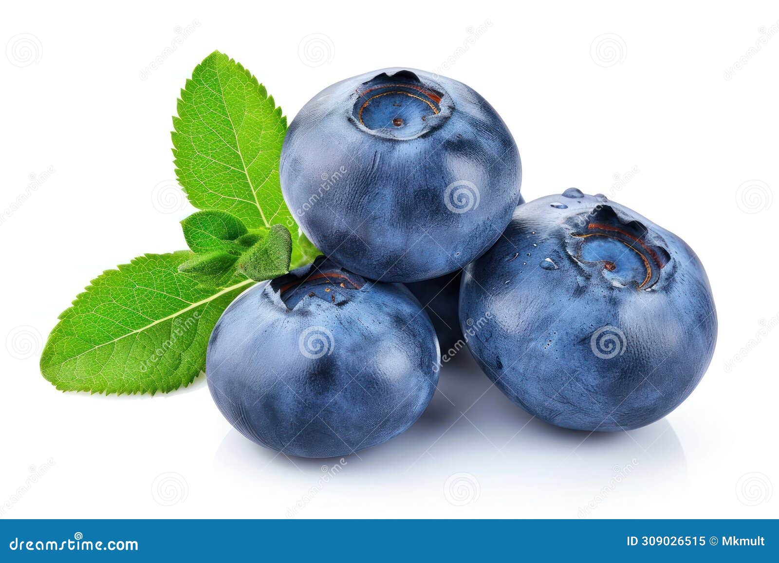 Three Blueberries with Leaves on a White Background Stock Image - Image ...