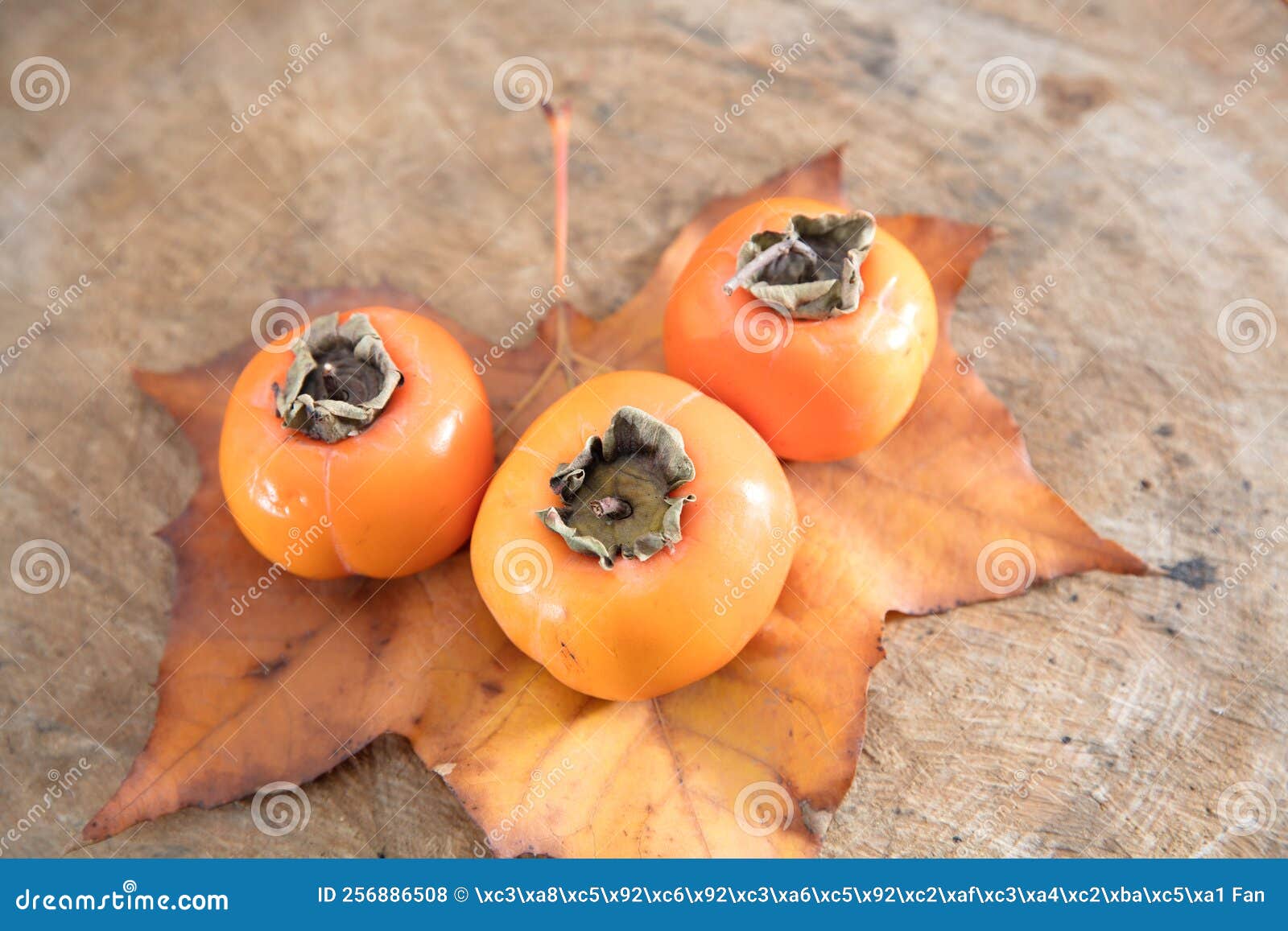 Three Ripe Crispy Persimmons on a Yellow Leaf Stock Photo - Image of ...