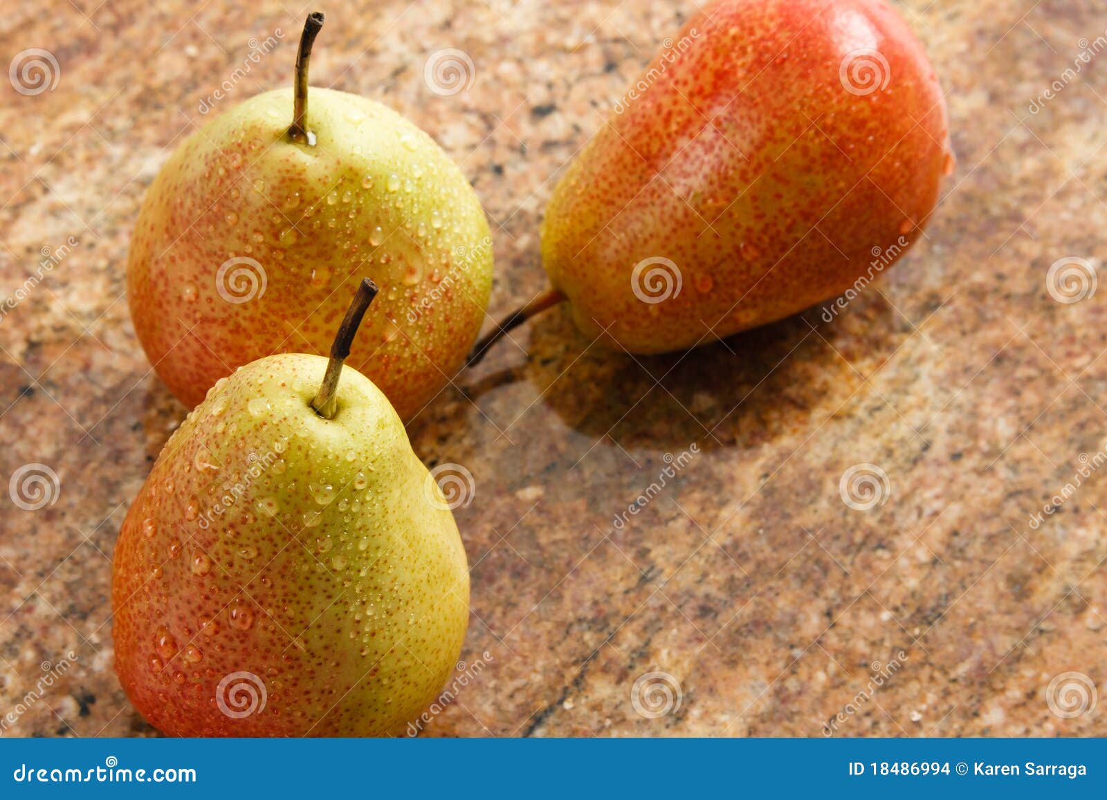 Three Ripe Forelle Pears stock photo. Image of small - 18486994