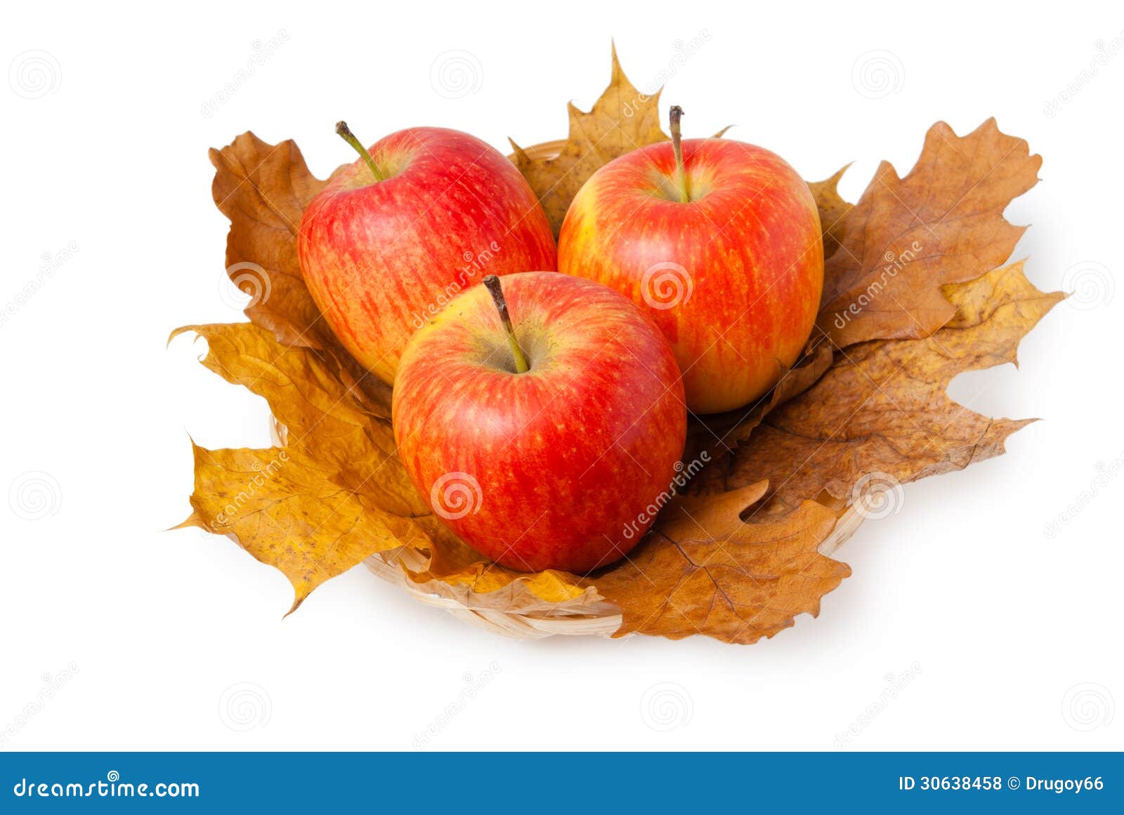 Three Ripe Fresh Red Apples on Maple Stock Photo - Image of colored ...
