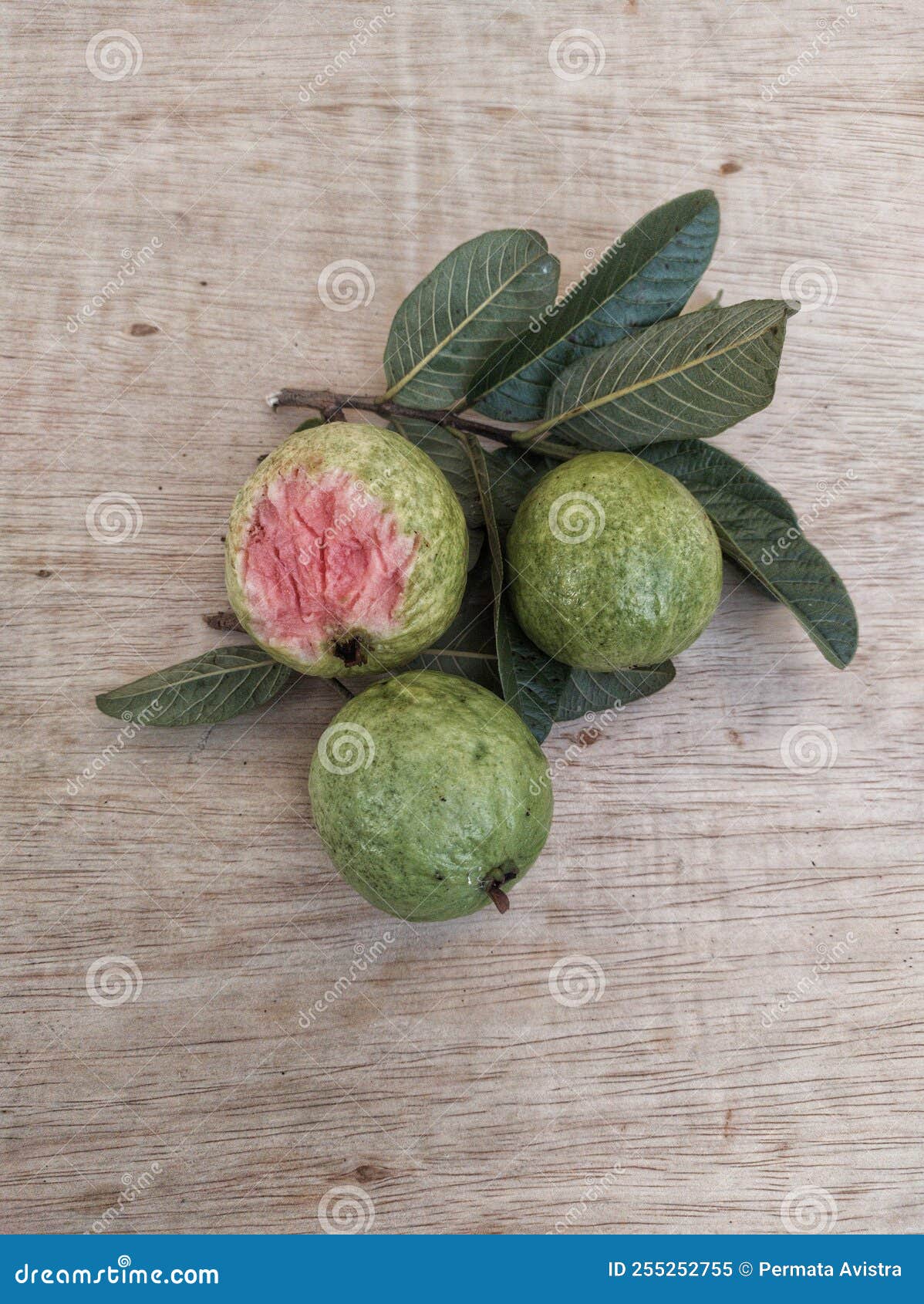 Three Ripe Guava Fruit on the Table Stock Image - Image of ripe, table ...