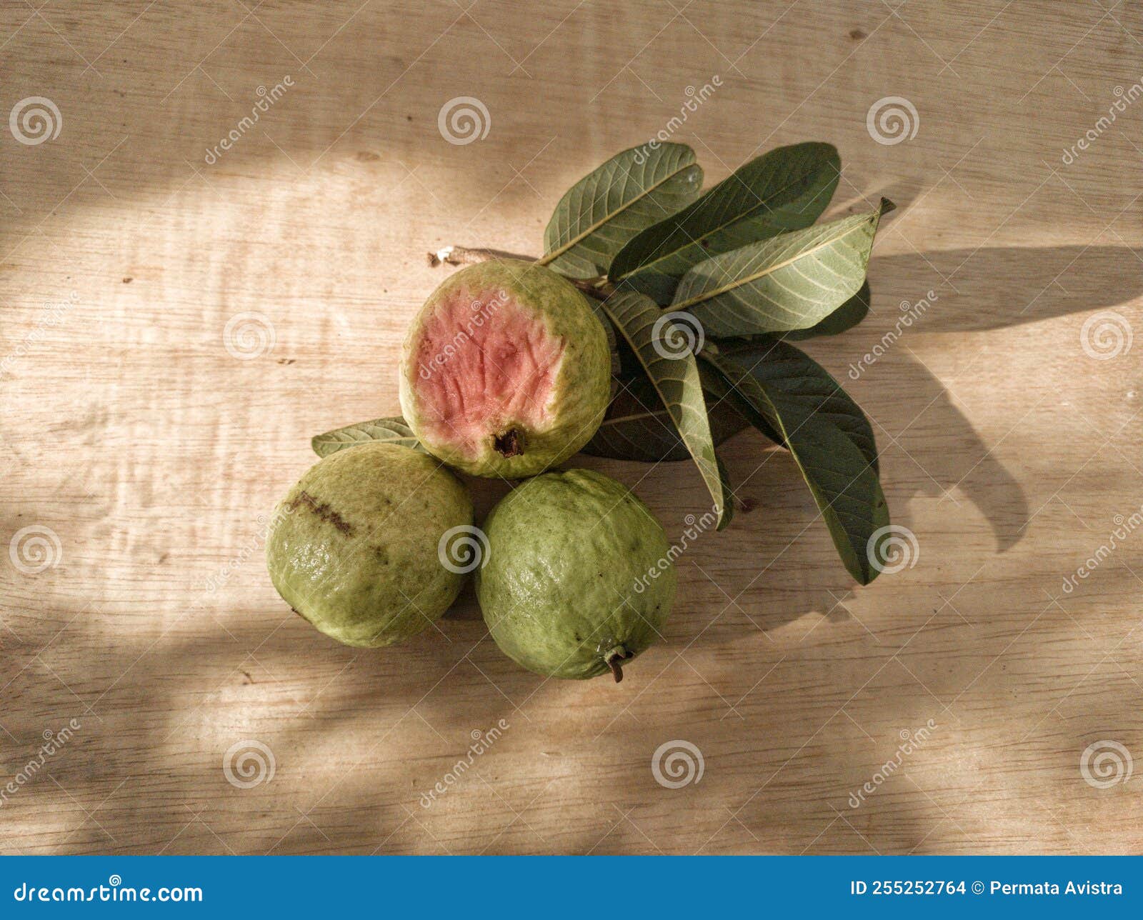 Three Ripe Guava Fruit on the Table Stock Photo - Image of ripe, guava ...