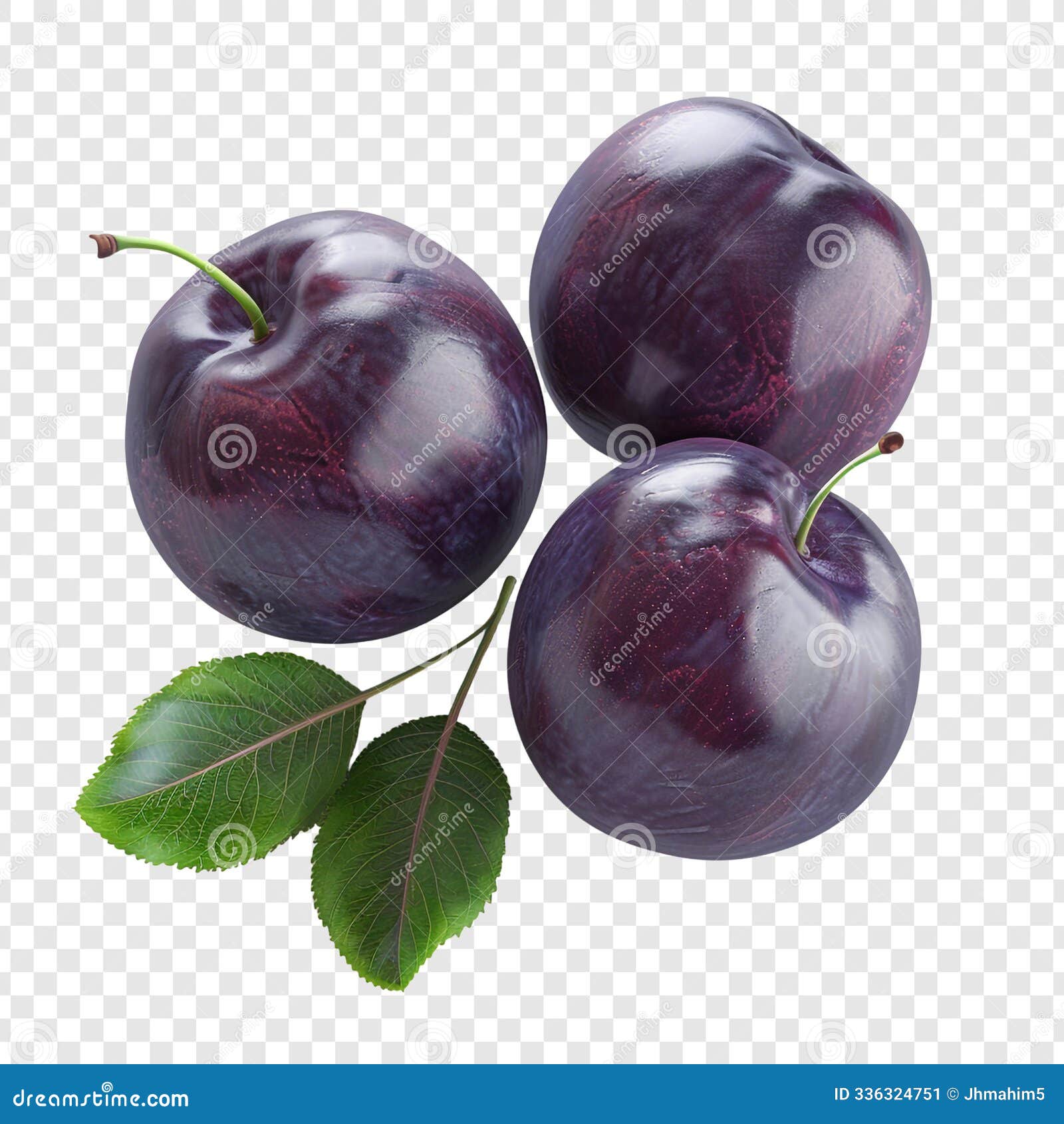 Three Plums and Leaves stock illustration. Illustration of blue - 336324751