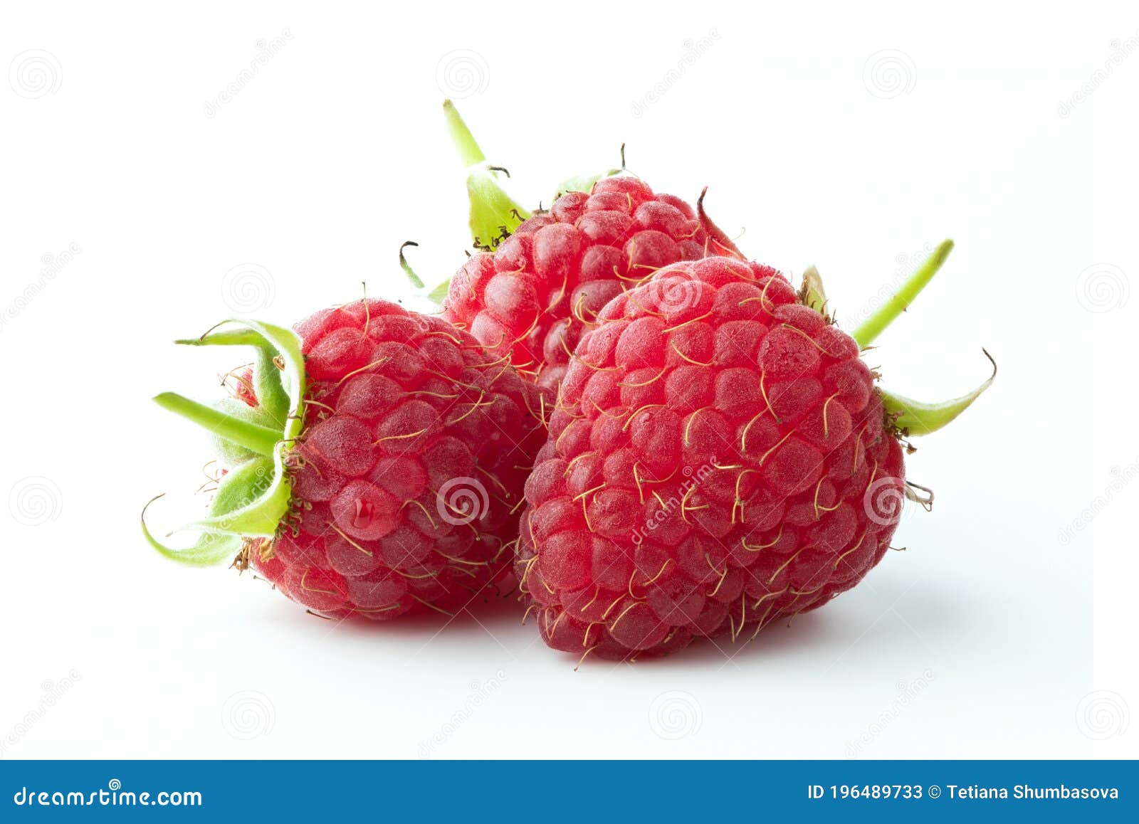 Three Ripe Raspberry Fruits with Green Stems Isolated on White ...