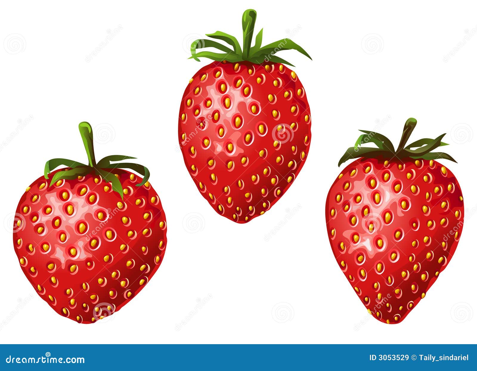 Three ripe strawberries stock vector. Illustration of vector - 3053529