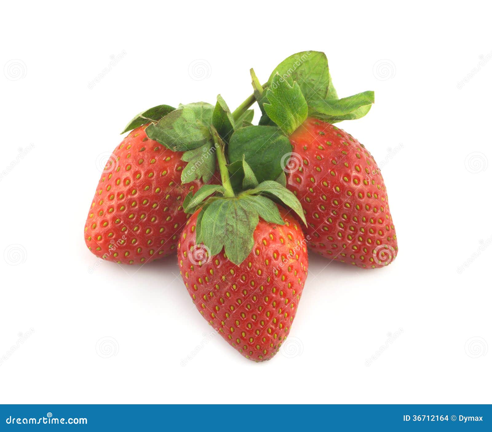 Three Ripe Strawberries Isolated Closeup Stock Photo - Image of food ...