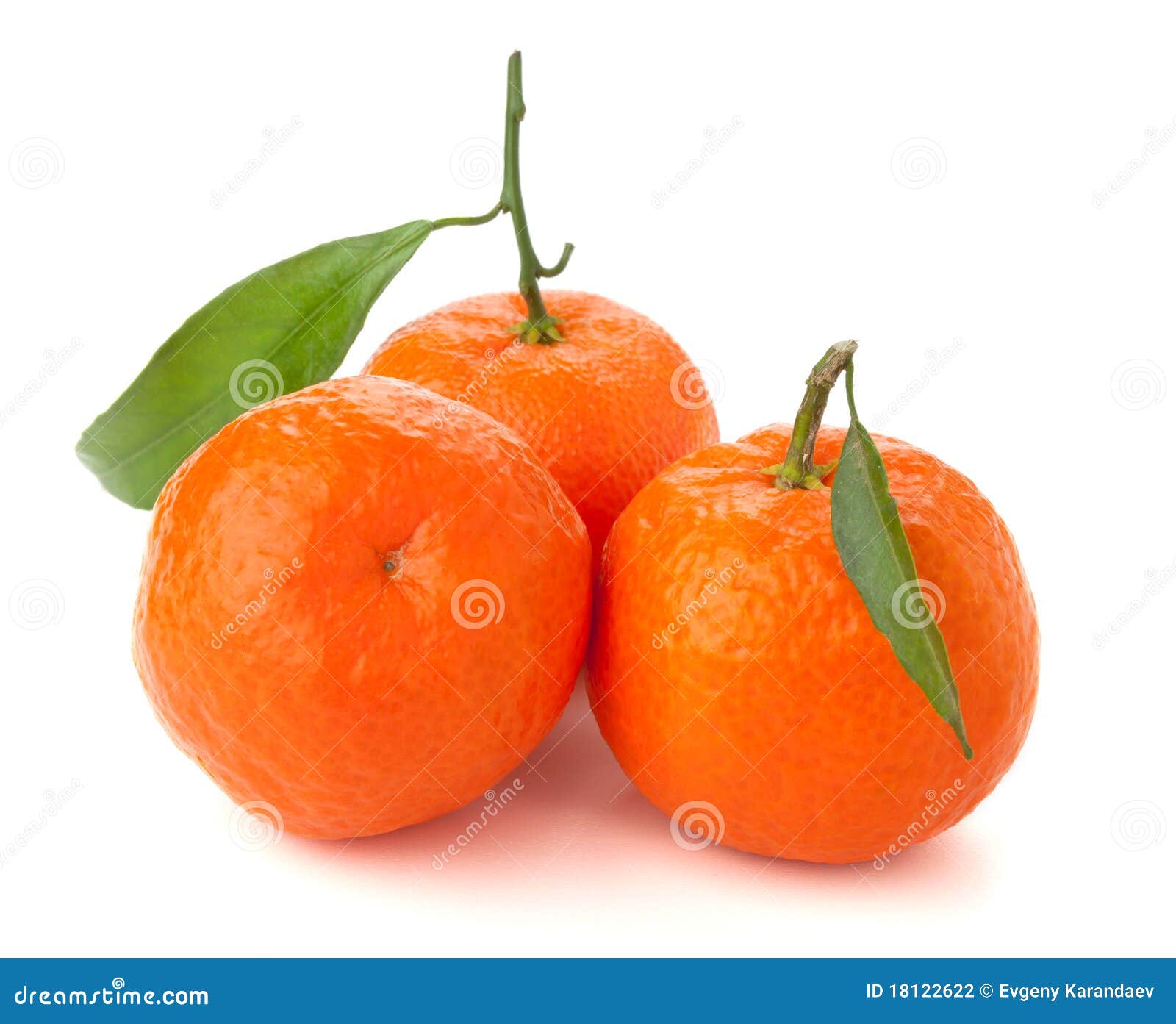 Three ripe tangerines stock photo. Image of exotic, refreshment - 18122622