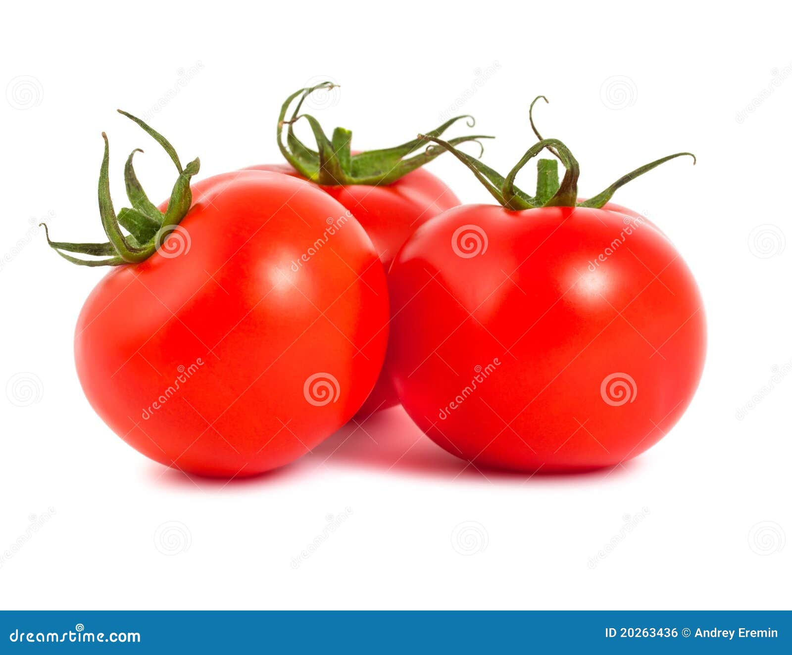 Ripe Tomatoes On The Vine, White Insulated Background Stock Photography ...
