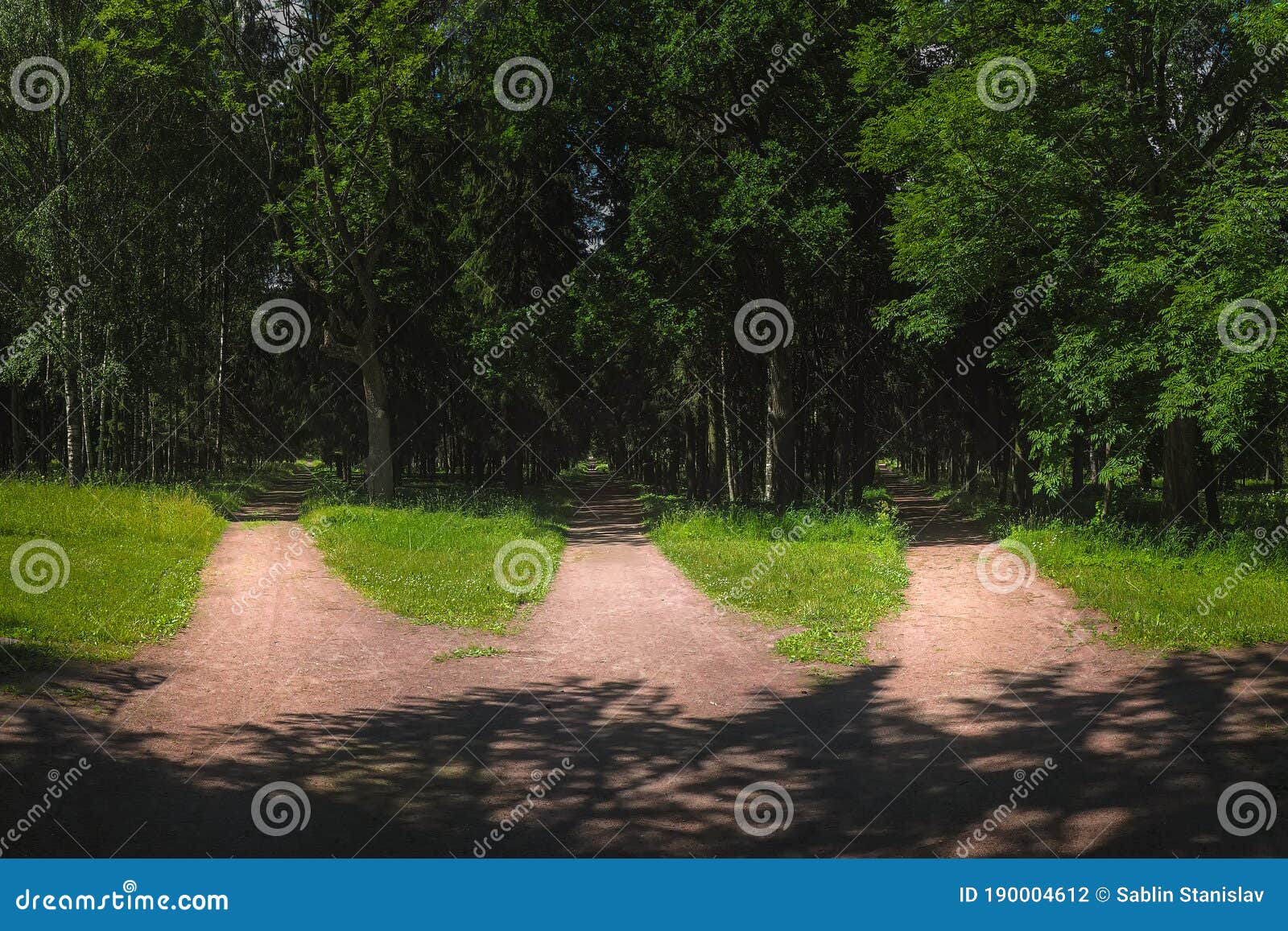 Three Roads in the Forest, Choice of Path Stock Photo - Image of ...