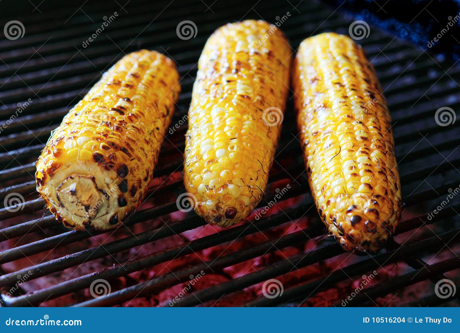Three Roasted Corns stock photo. Image of barbeque, snack - 10516204