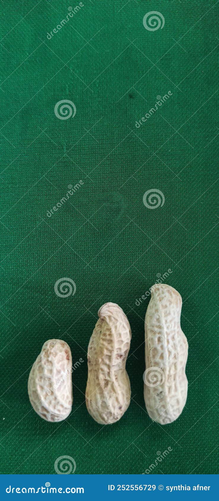 Three Roasted Peanuts Brothers on Green Stock Image - Image of three ...