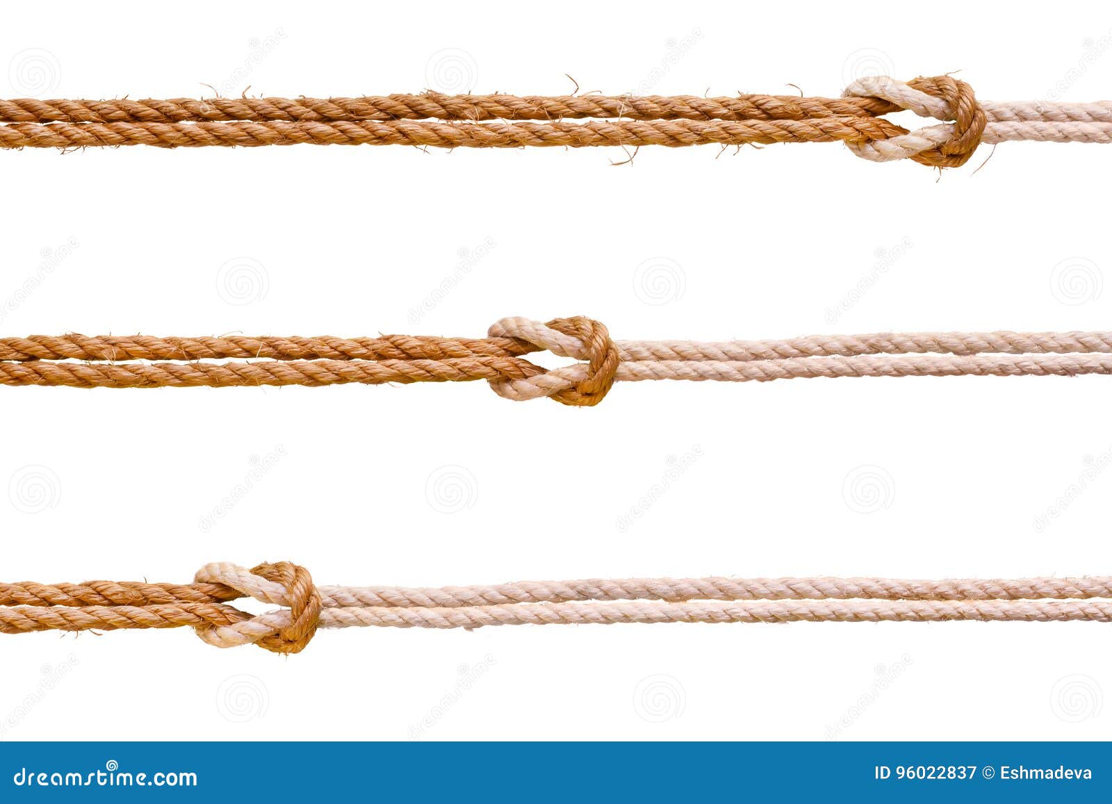Three Ropes with Reef Knot Set Stock Image - Image of noose, cord: 96022837