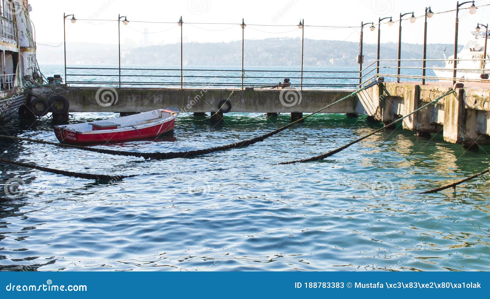 Three Ropes of Seaweed Hanging from the Seafront Stock Image - Image of ...