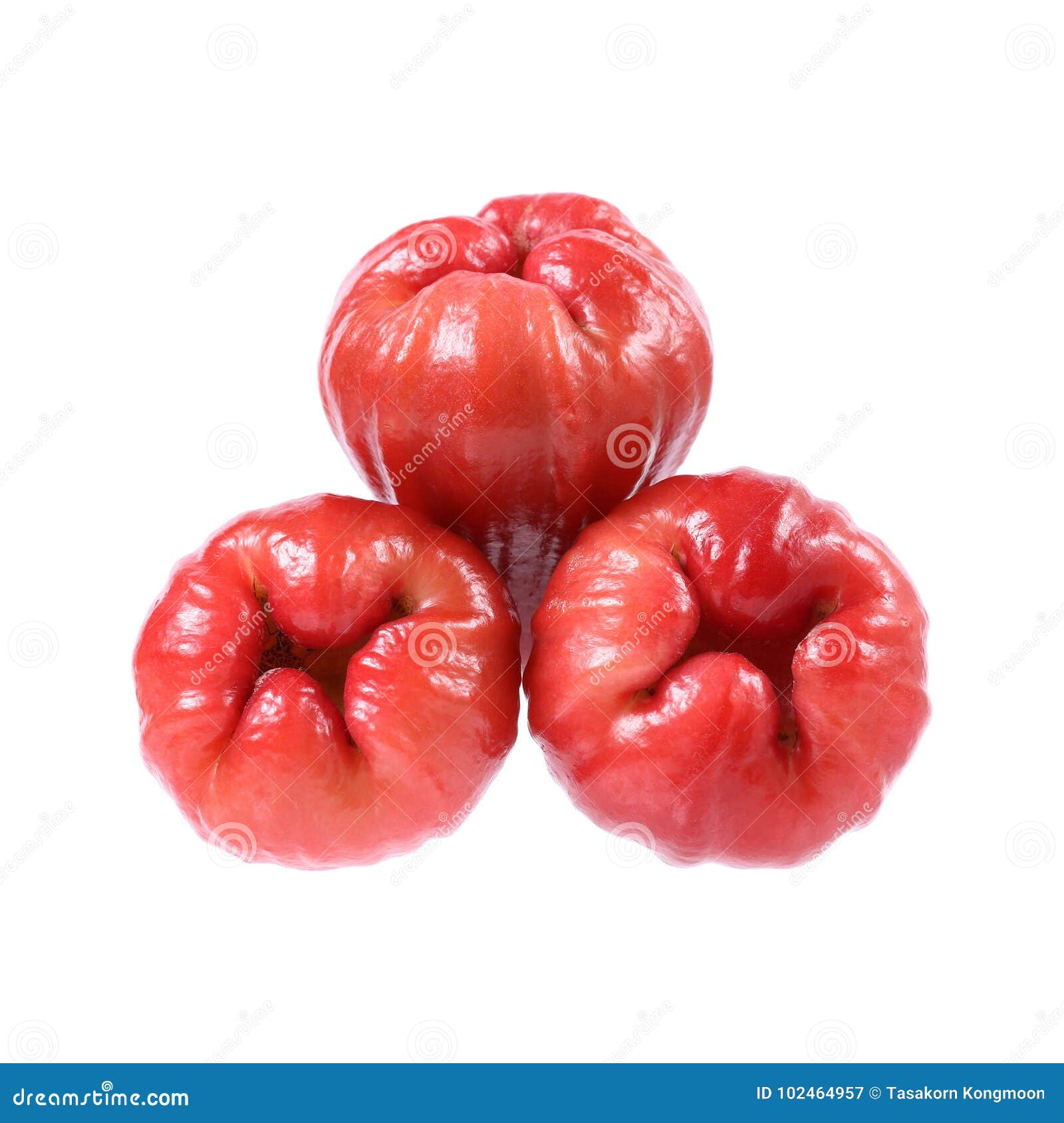Three Rose Apples Isolated on White Stock Image - Image of thailand ...