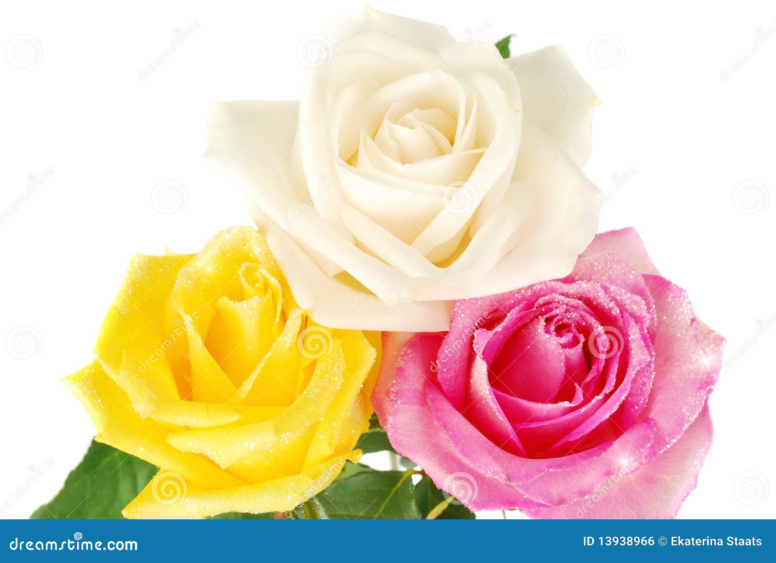 Three roses stock photo. Image of bonding, chinese, floral - 13938966