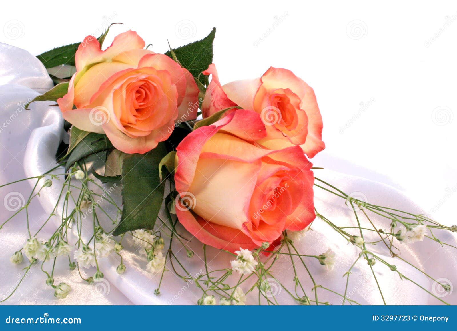 Three Roses stock image. Image of pink, bride, roses, rose - 3297723