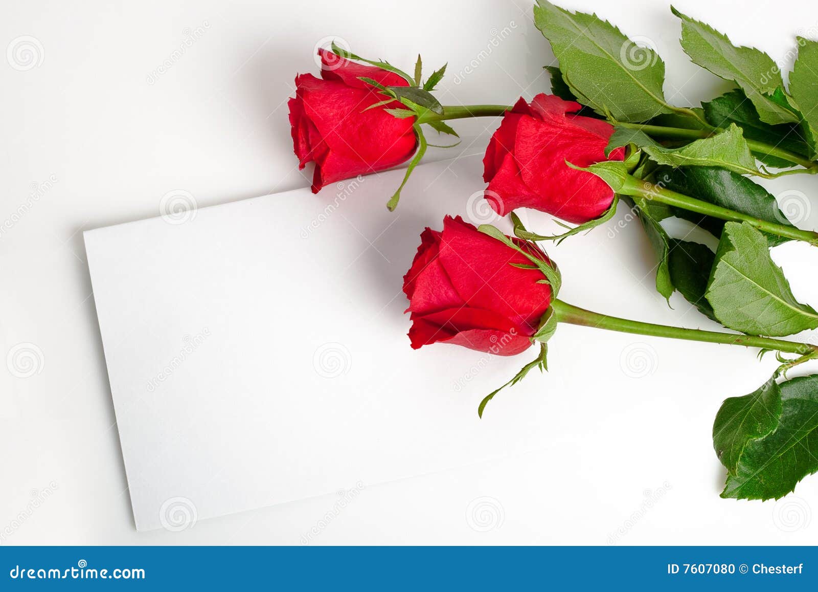 Three Red Roses Stock Image | CartoonDealer.com #10927009