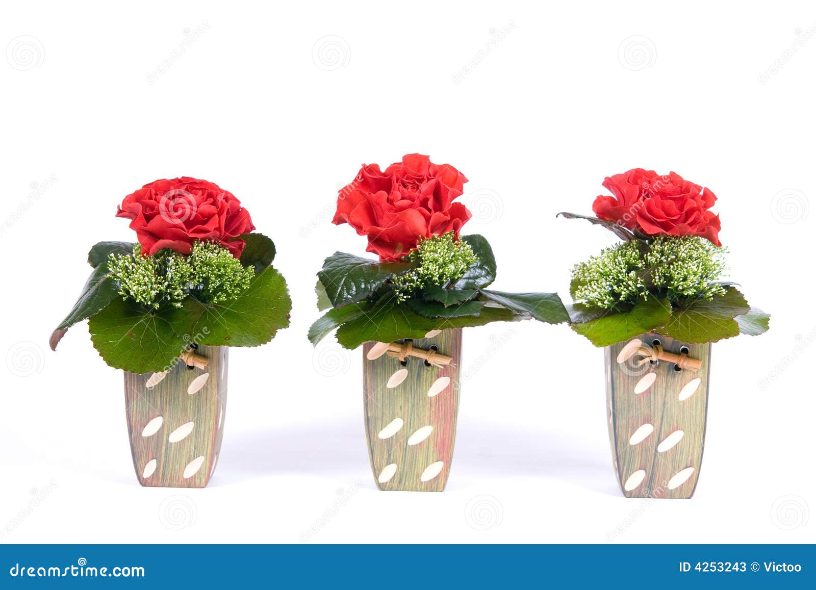 Three roses in bowls stock image. Image of decoration - 4253243