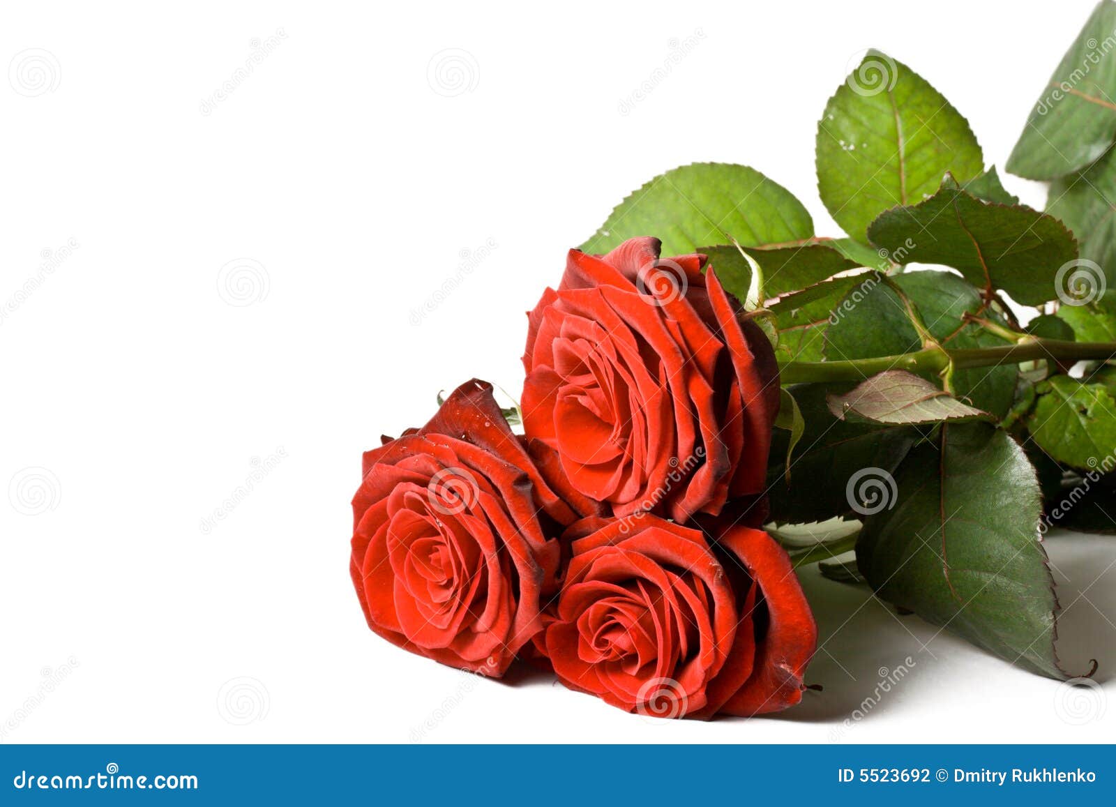 Three Red Roses In A Crystal Vase On The Windowsill. Royalty-Free Stock ...