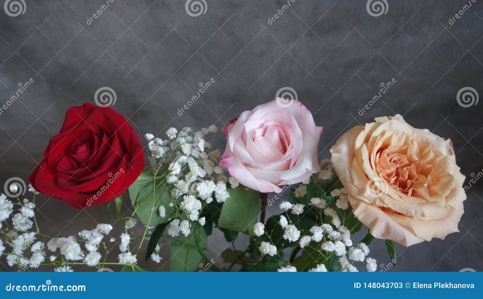 5,462 Three Roses Red Stock Photos - Free & Royalty-Free Stock Photos ...