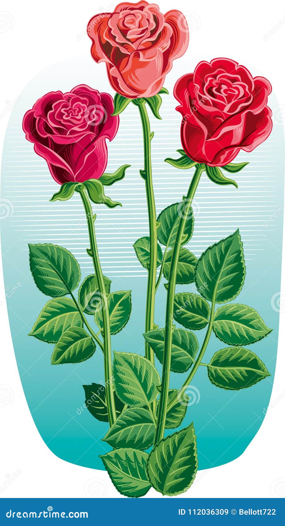 Three Roses with Their Stems and Leaves. Stock Illustration ...
