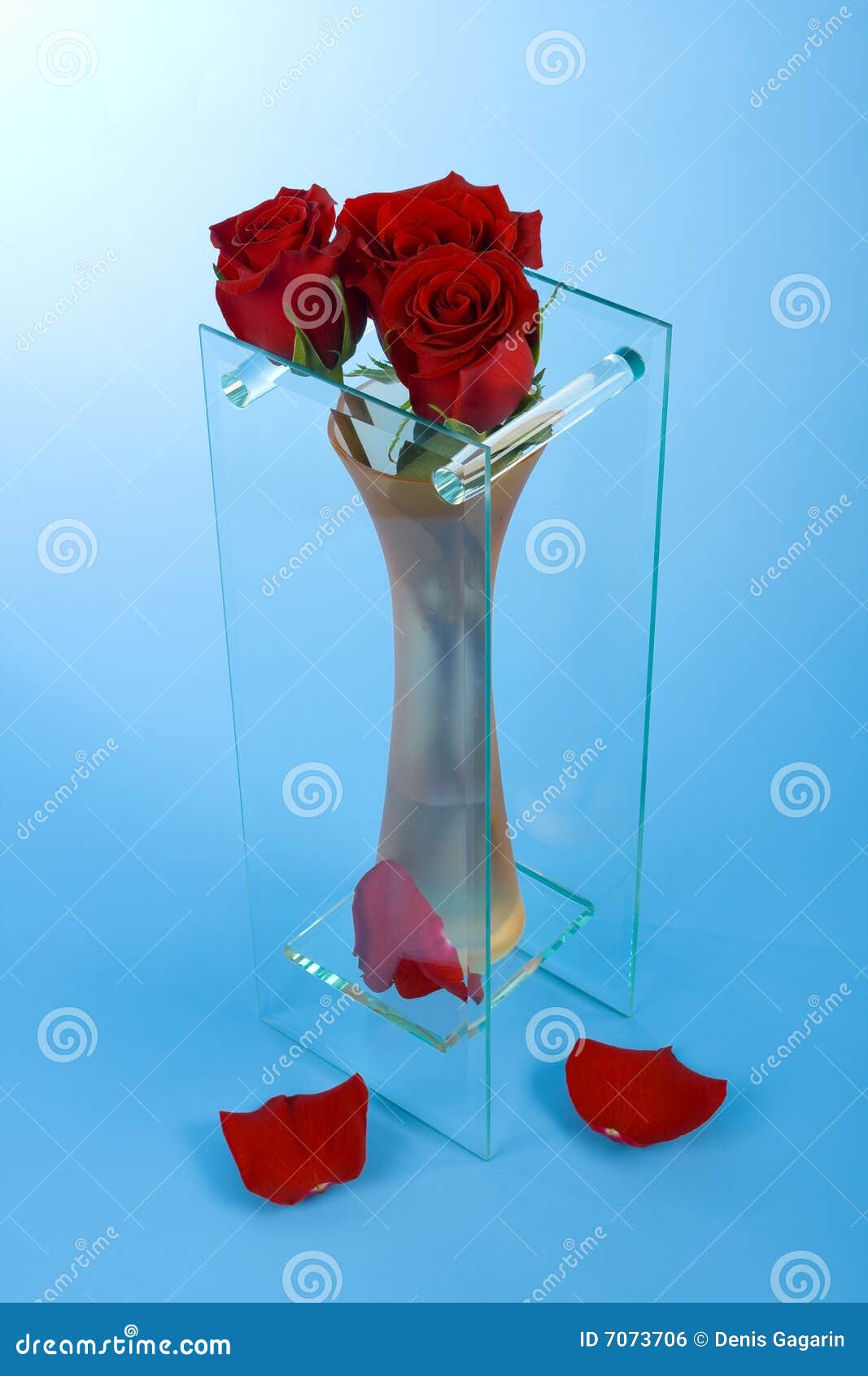 Three roses in the vase stock photo. Image of light, valentine - 7073706