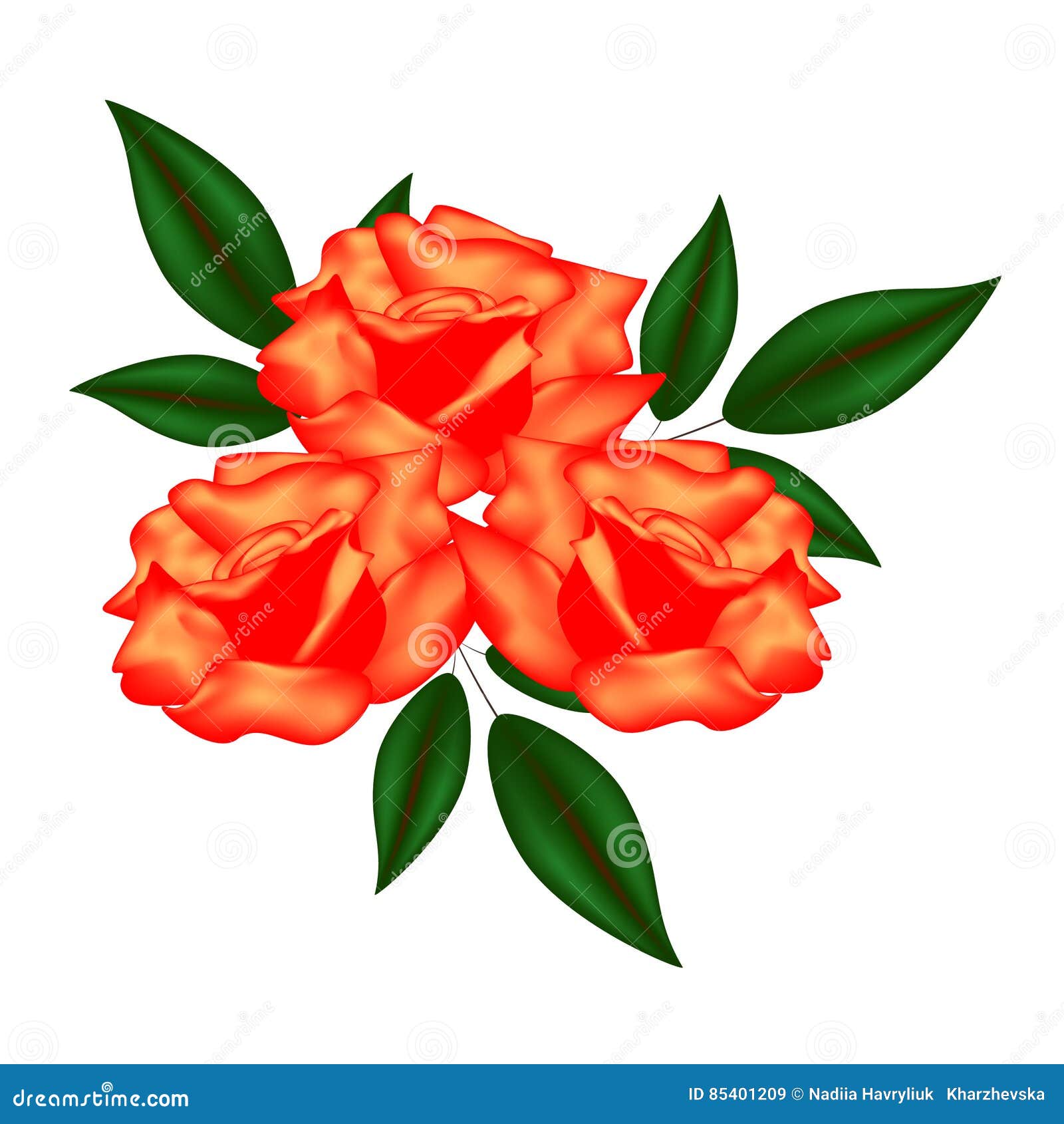Three Roses on a White Background. Stock Vector - Illustration of ...