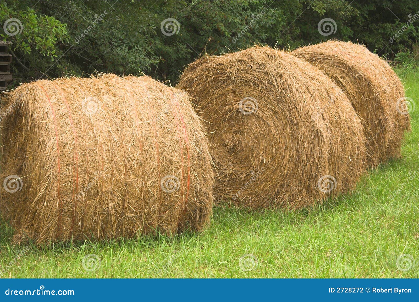 Three Round Hay Bales stock photo. Image of grain, autumn - 2728272