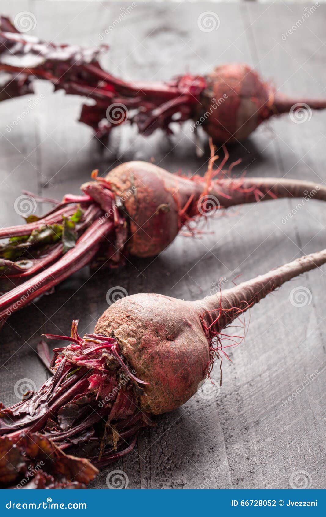 Three in a Row Organic Beets Stock Photo - Image of bull, bright: 66728052