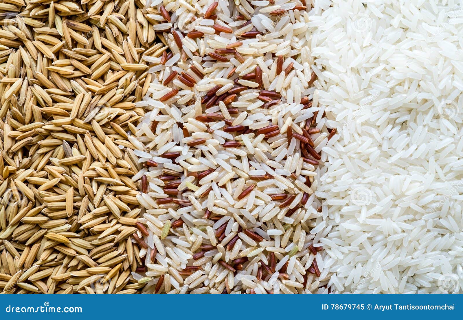 Three rows of rice. stock image. Image of food, fiber - 78679745