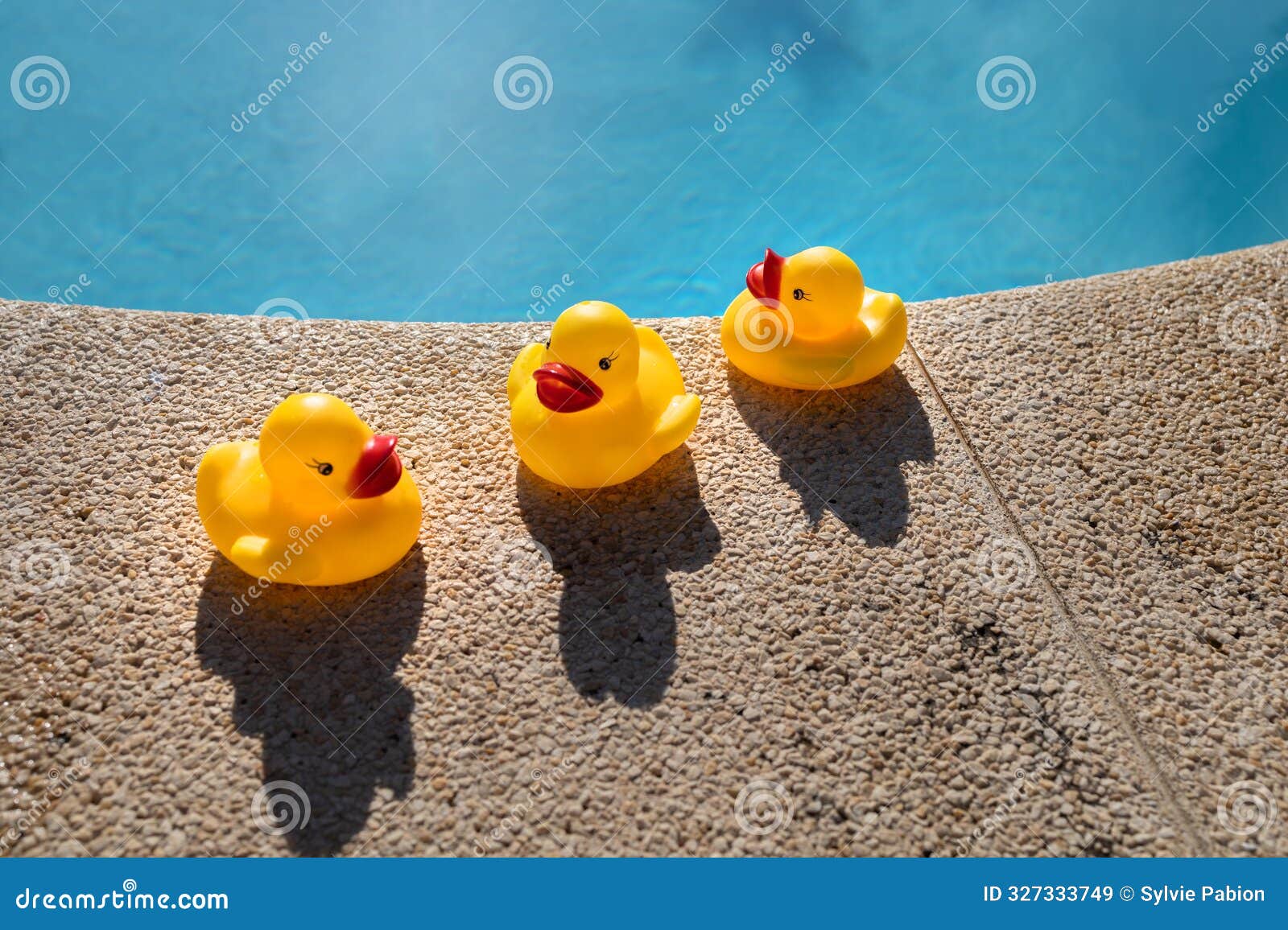Three Rubber Ducks on the Edge of a Pool Stock Image - Image of ...