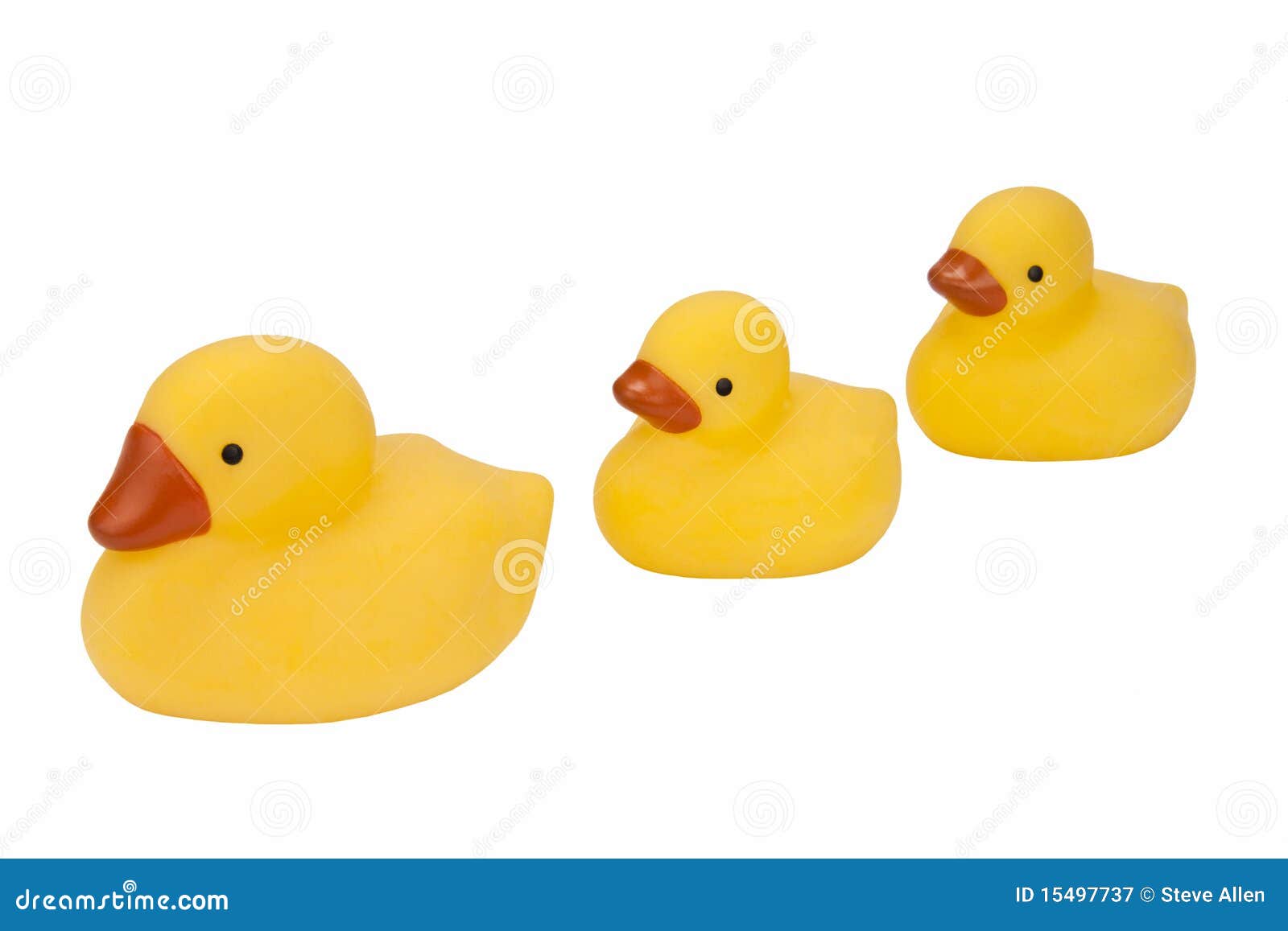 Three Rubber Ducks - Isolated Stock Image - Image of ducks, conceptual ...