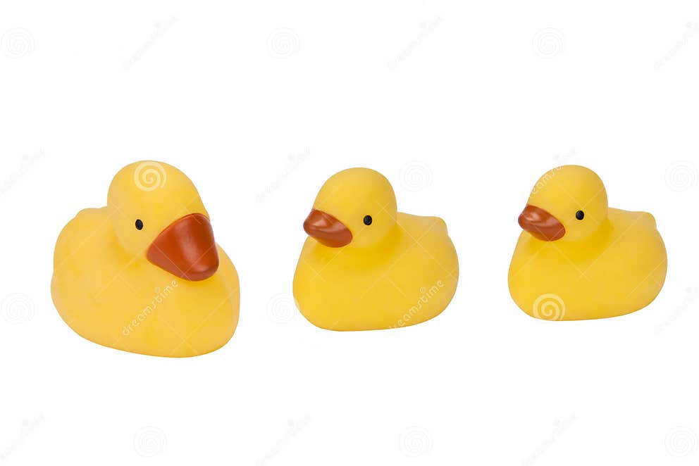 Three Rubber Ducks - Isolated Stock Image - Image of toys, yellow: 15497791