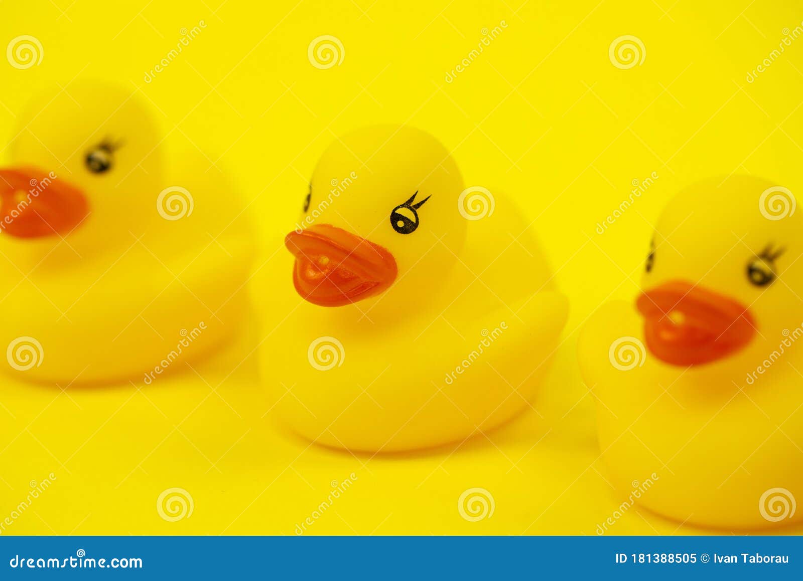 Three Rubber Ducks in Row Isolated on Yellow Background Copy Space ...