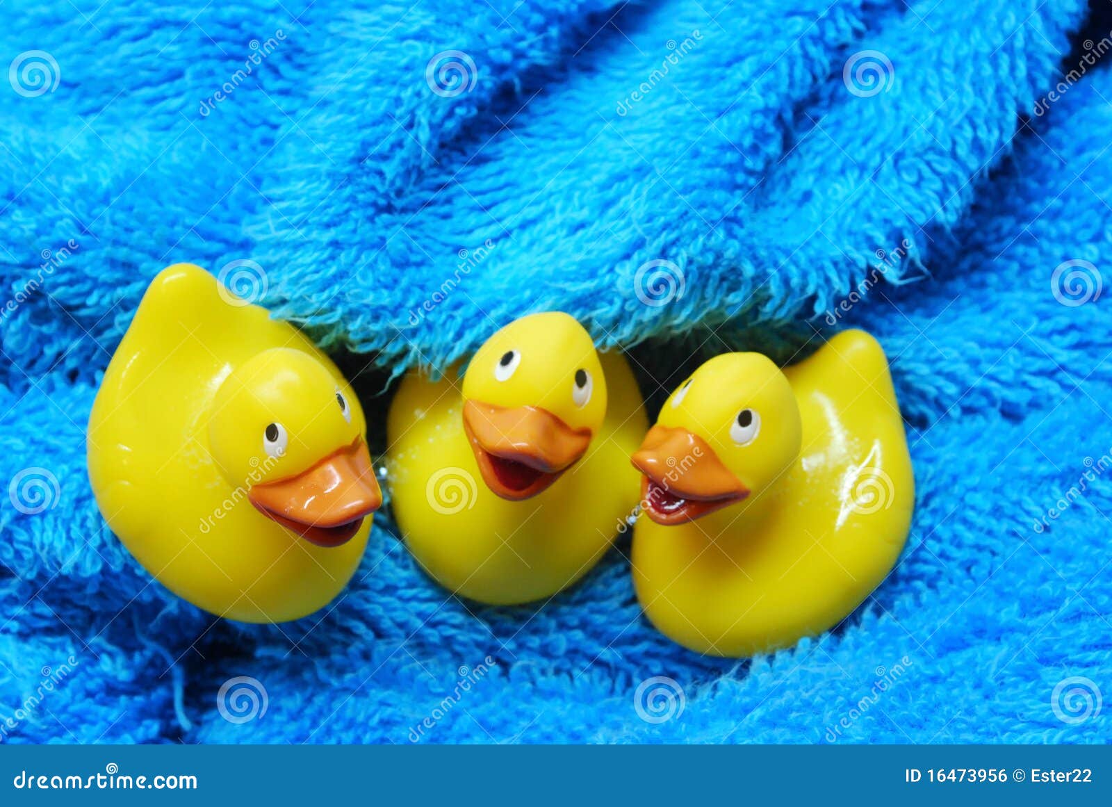Three Rubber Ducks in a Towel Stock Photo - Image of towel, plastic ...