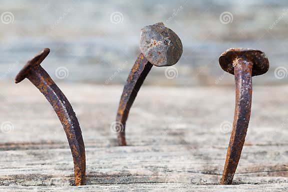Three rusty nails stock photo. Image of wrought, color - 27359296