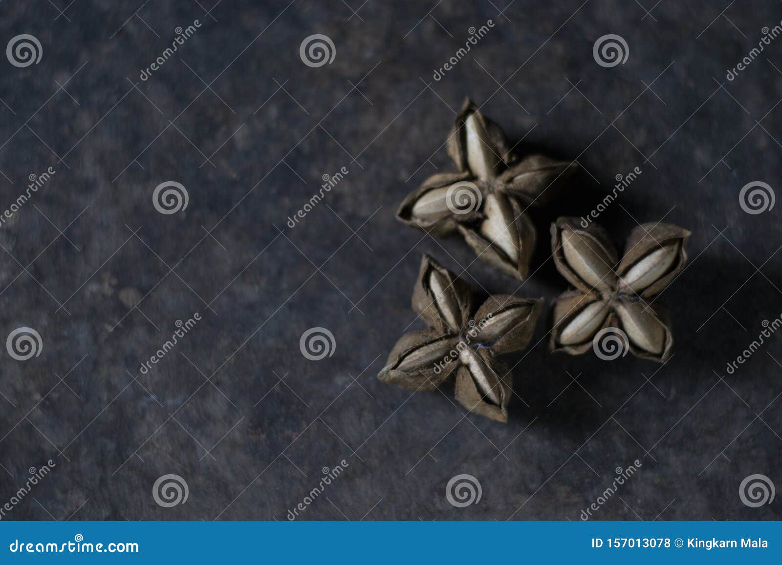 Three Sacha Inchi, Sacha Peanut Stock Photo - Image of natural ...