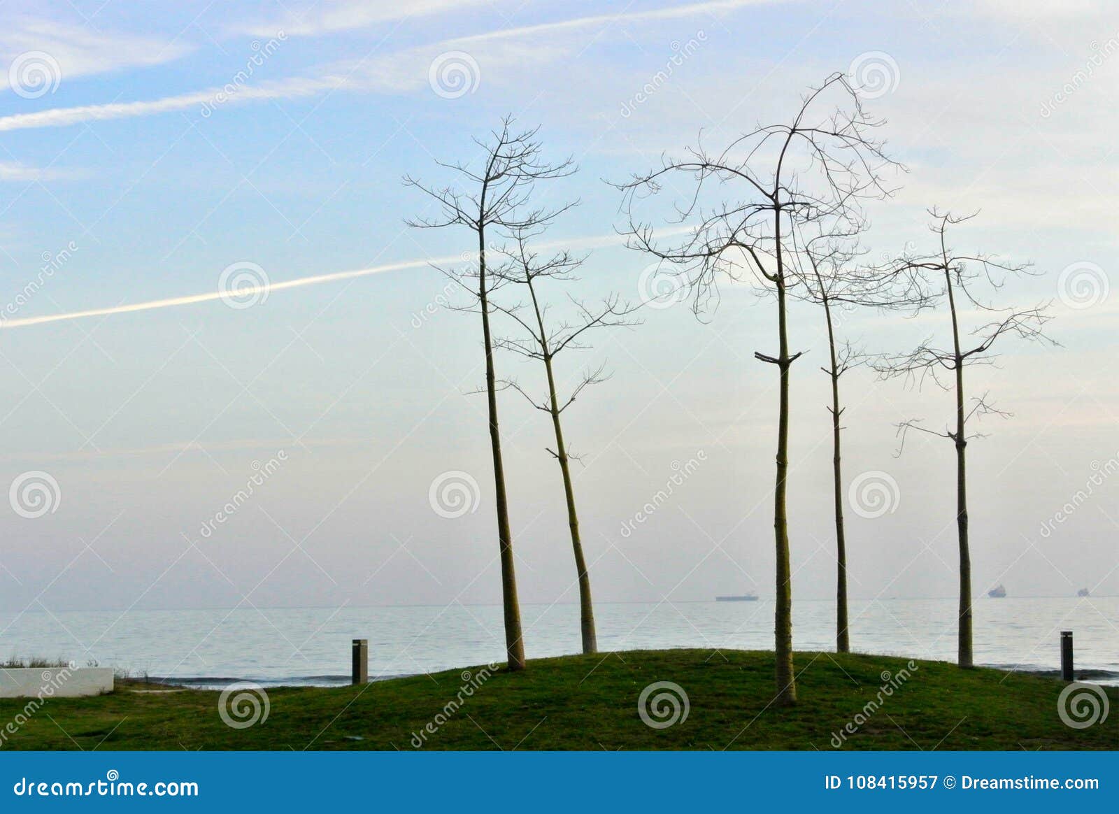 Three sad trees stock image. Image of autumn, covered - 108415957