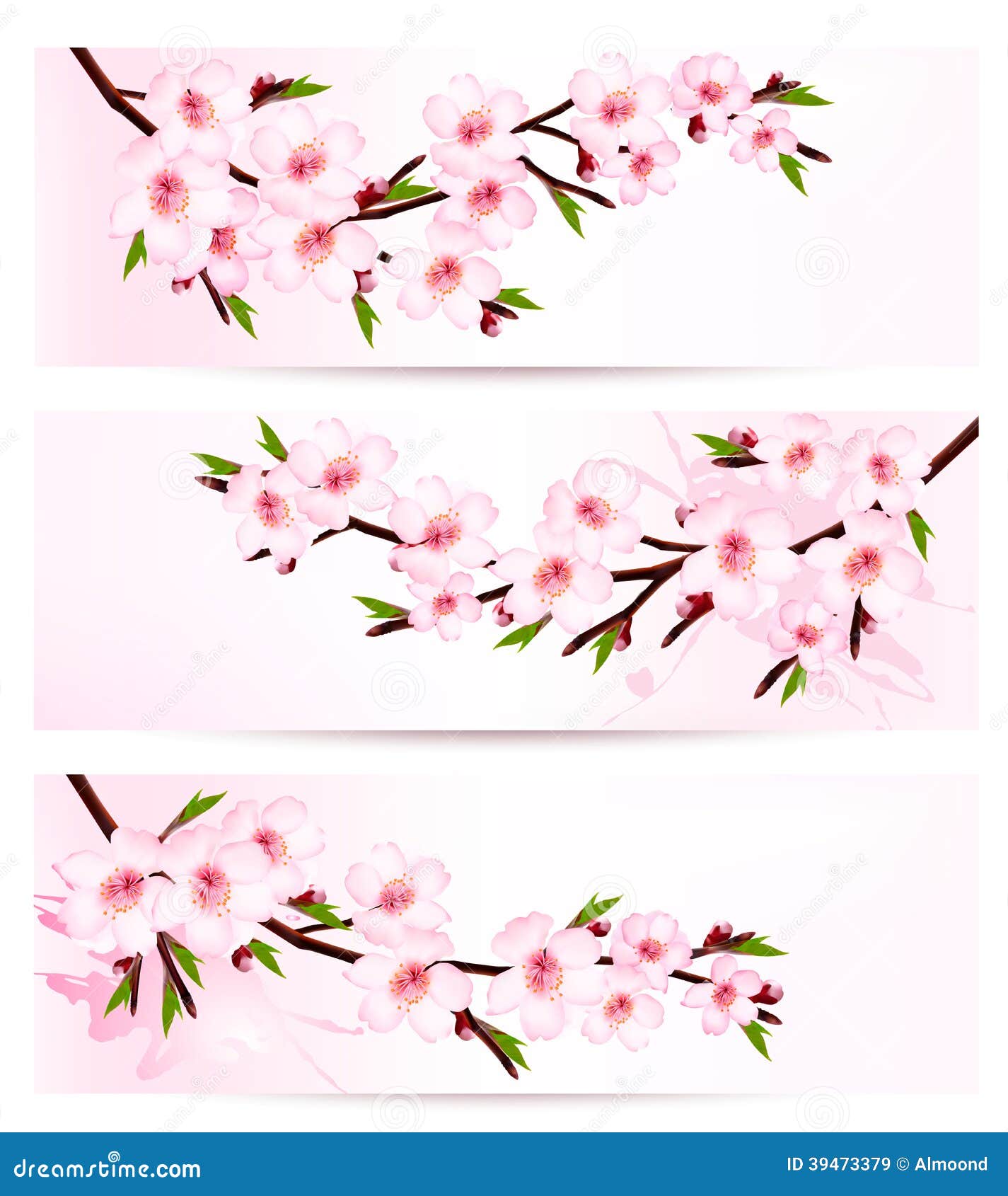 Three Sakura Branch Banners. Stock Vector - Illustration of branch ...