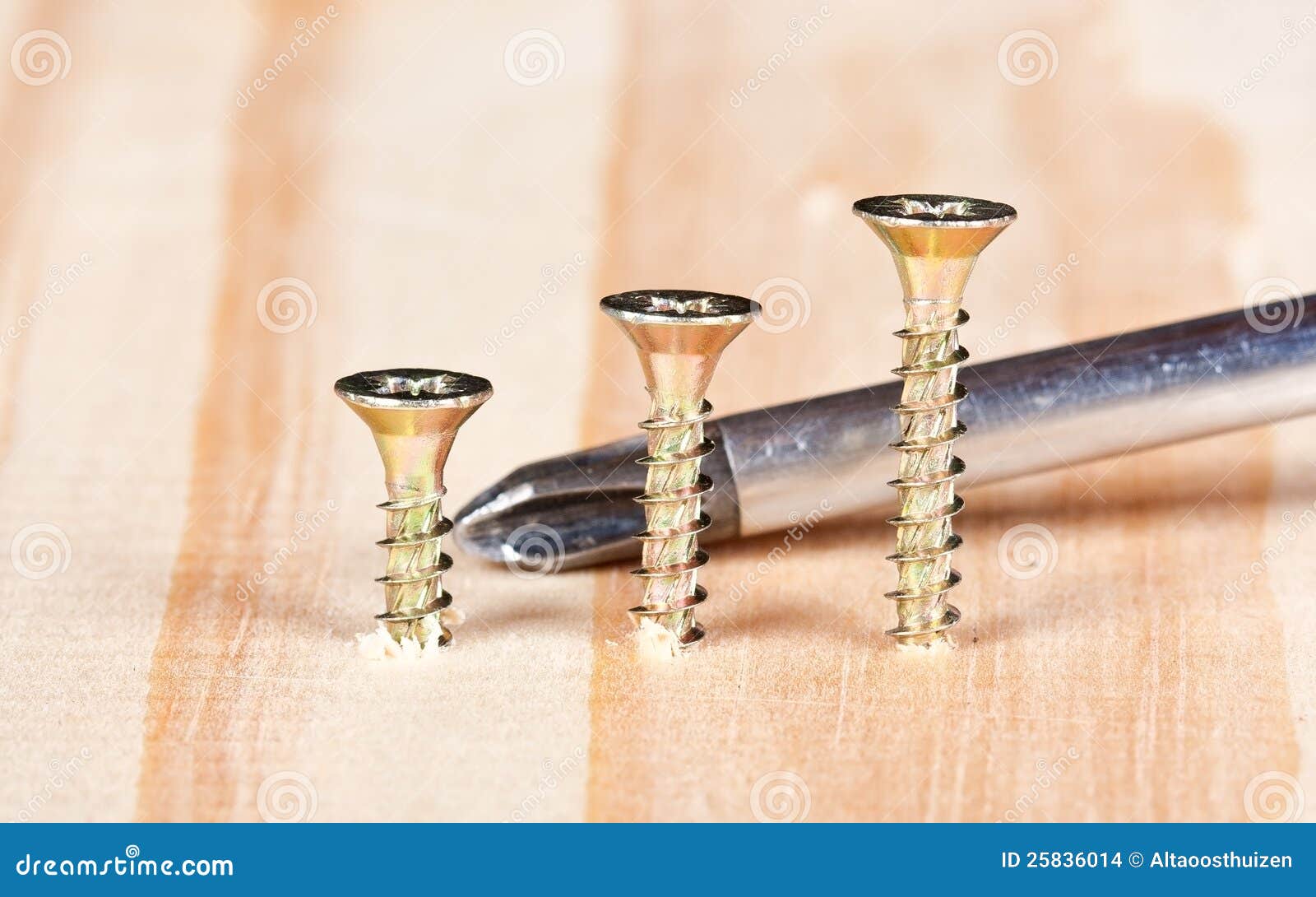 Three screws in a row stock photo. Image of product, embedded - 25836014