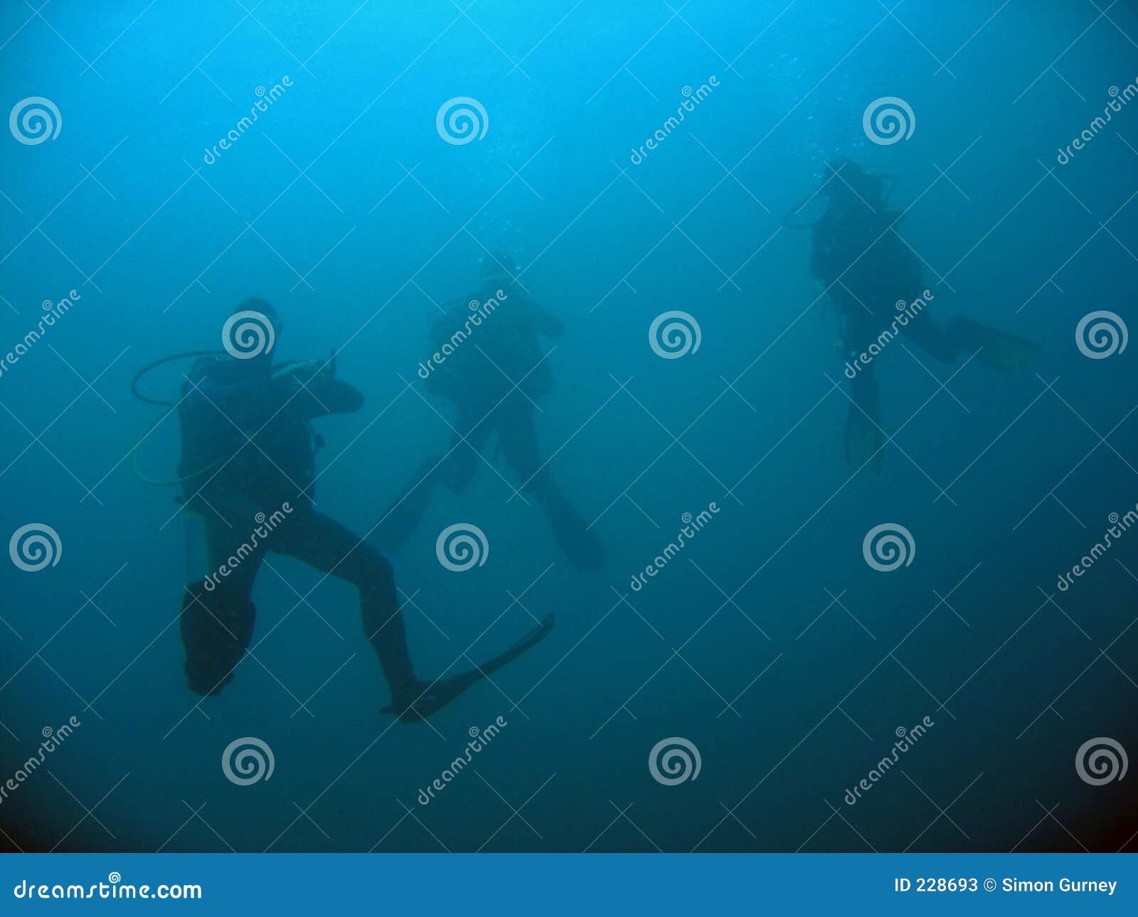 Three Scuba Divers on Deep Dive Stock Image - Image of blurred, leave ...