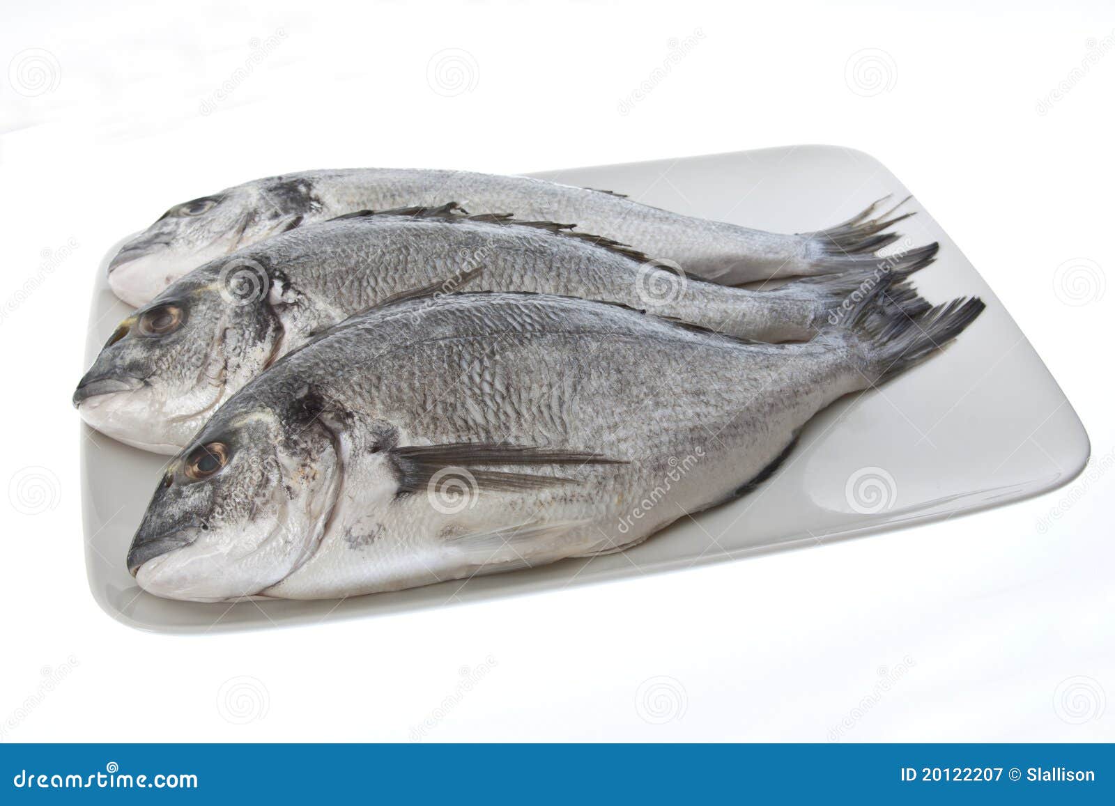 Three Sea Bream stock image. Image of white, mouth, teeth - 20122207