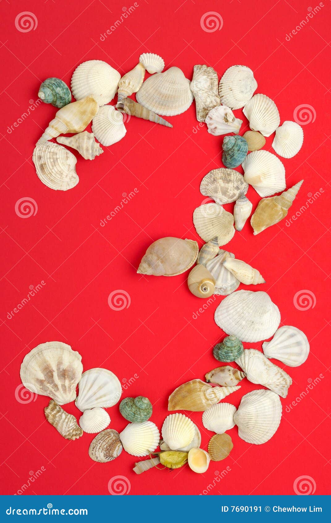 Three with sea shells stock image. Image of date, calendar - 7690191