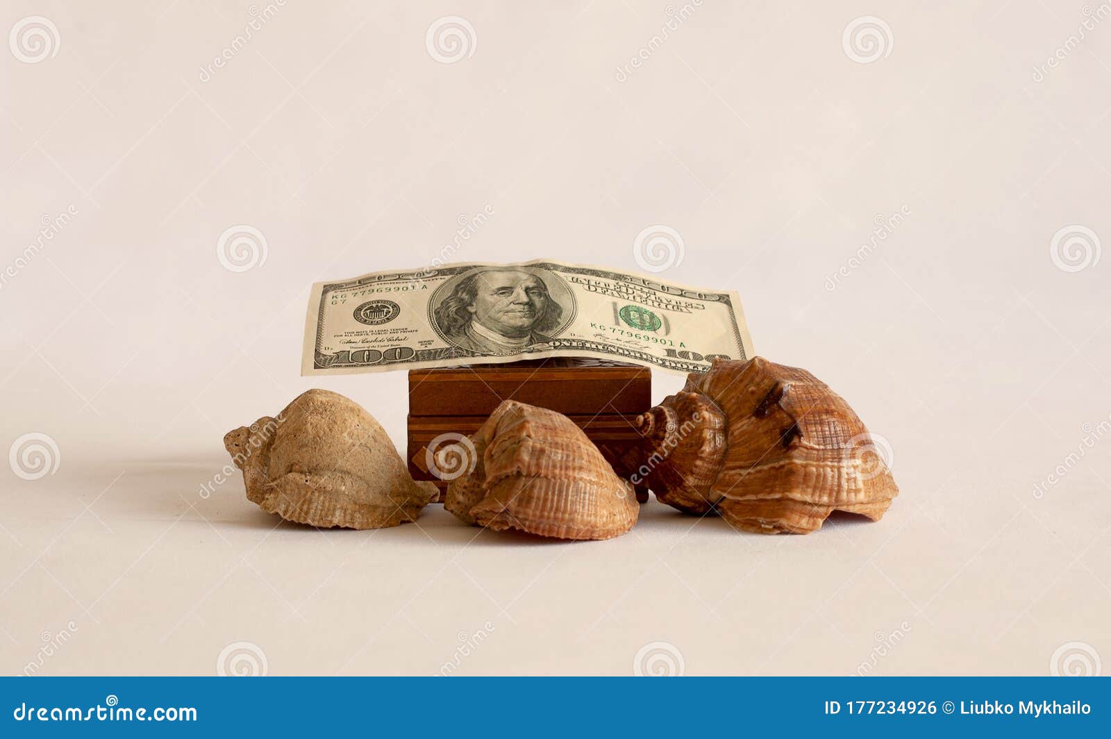 Three Seashells Stock Photo | CartoonDealer.com #57741294