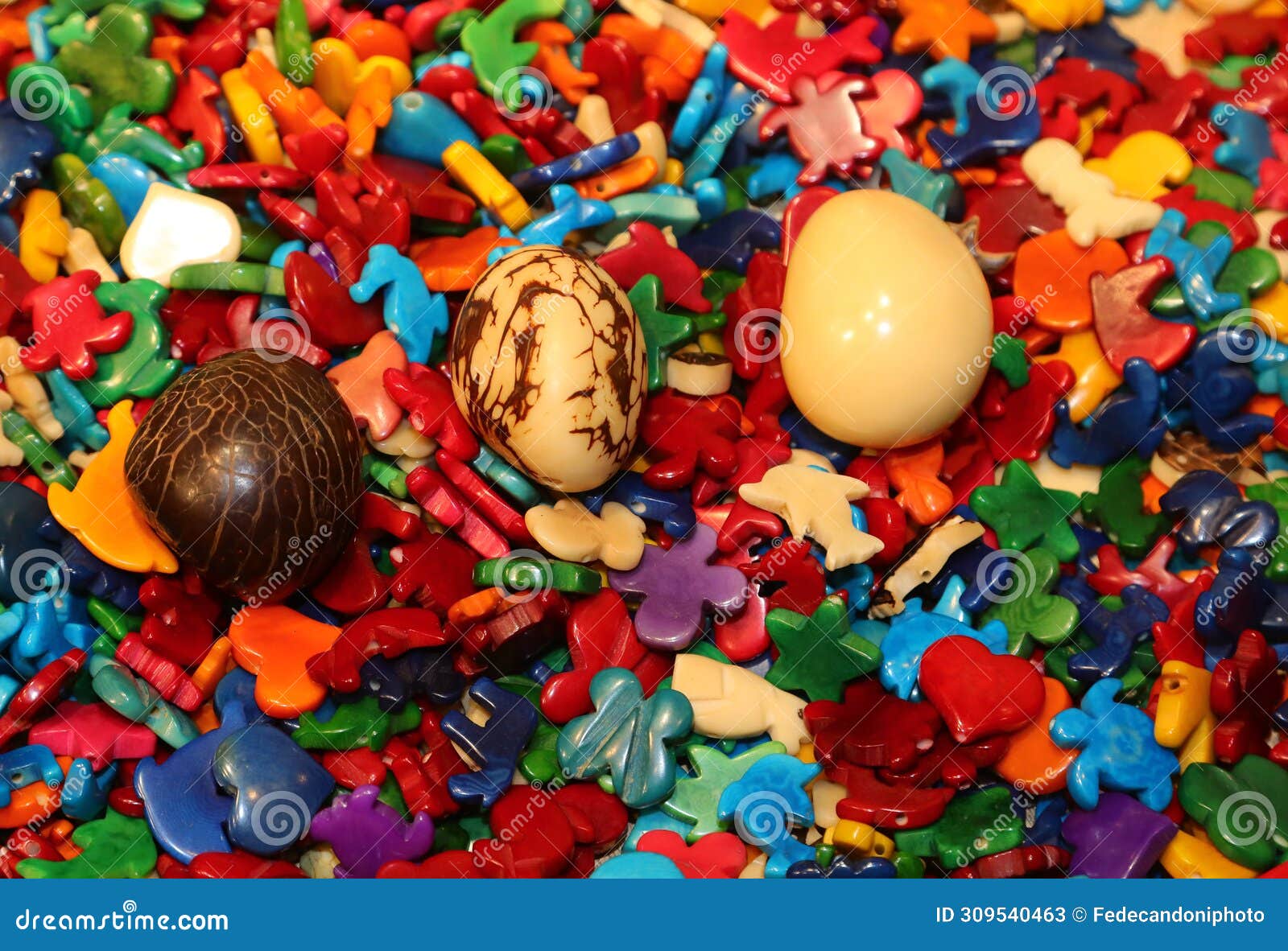 Three Seeds of the TAGUA Plant Also Called Vegetable Ivory in Different ...