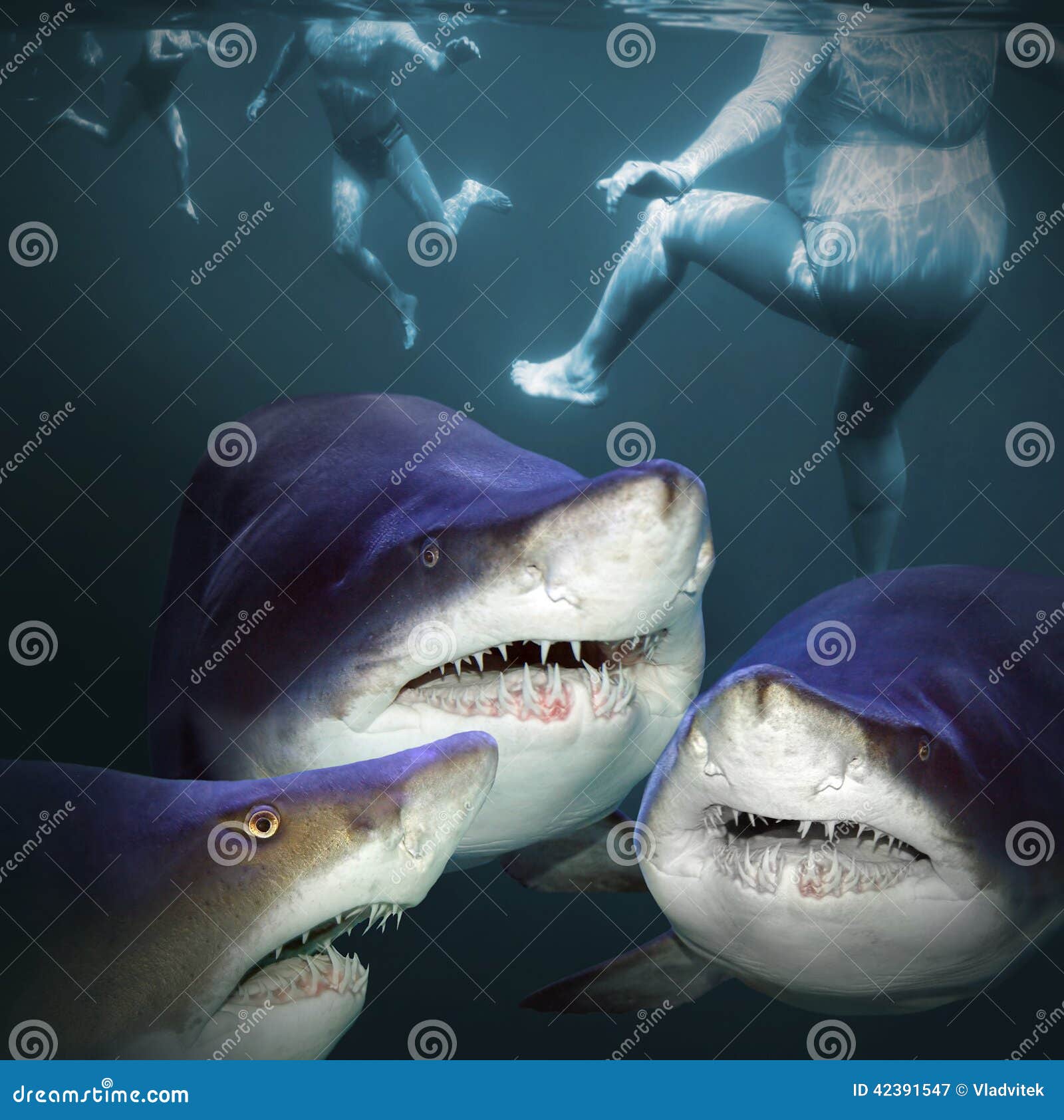 Three sharks have a fun. stock image. Image of people - 42391547