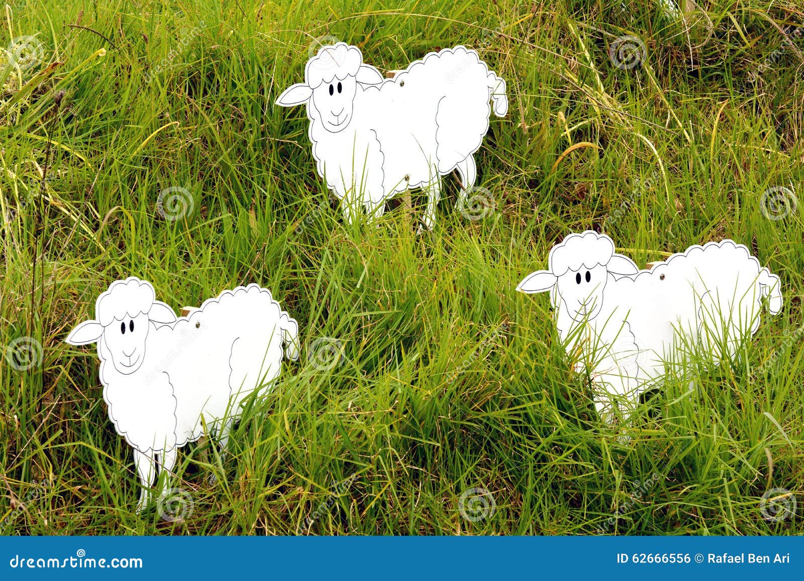 Three sheep stock photo. Image of group, fence, farm - 62666556