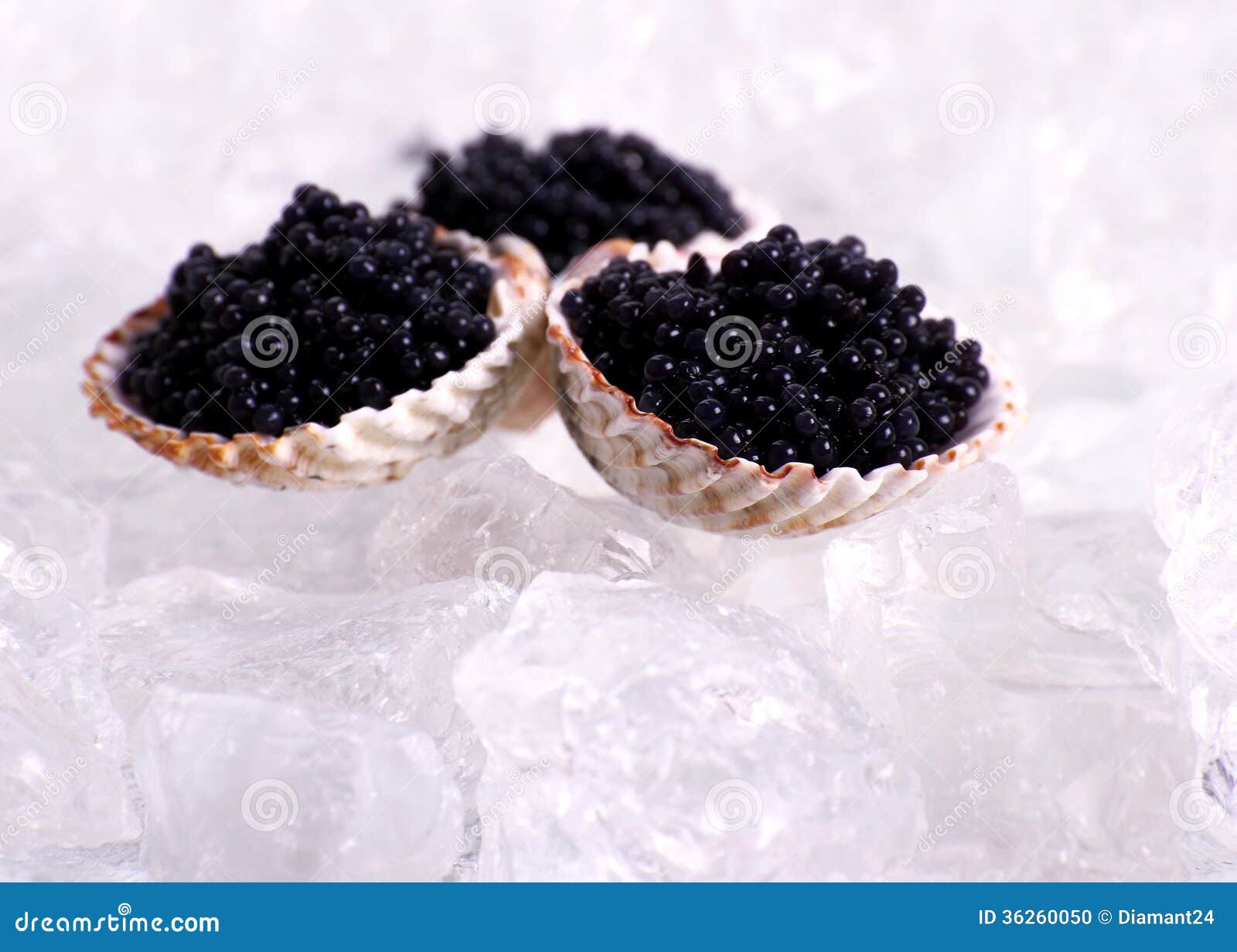 Three Shell with Black Caviar on Ice, Close Up Stock Photo - Image of ...