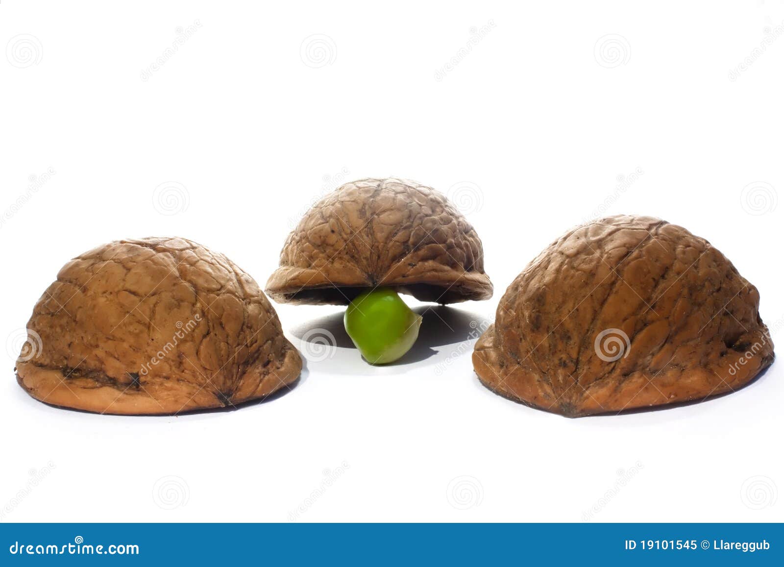 Three shells and a pea stock image. Image of short, thimblerig - 19101545